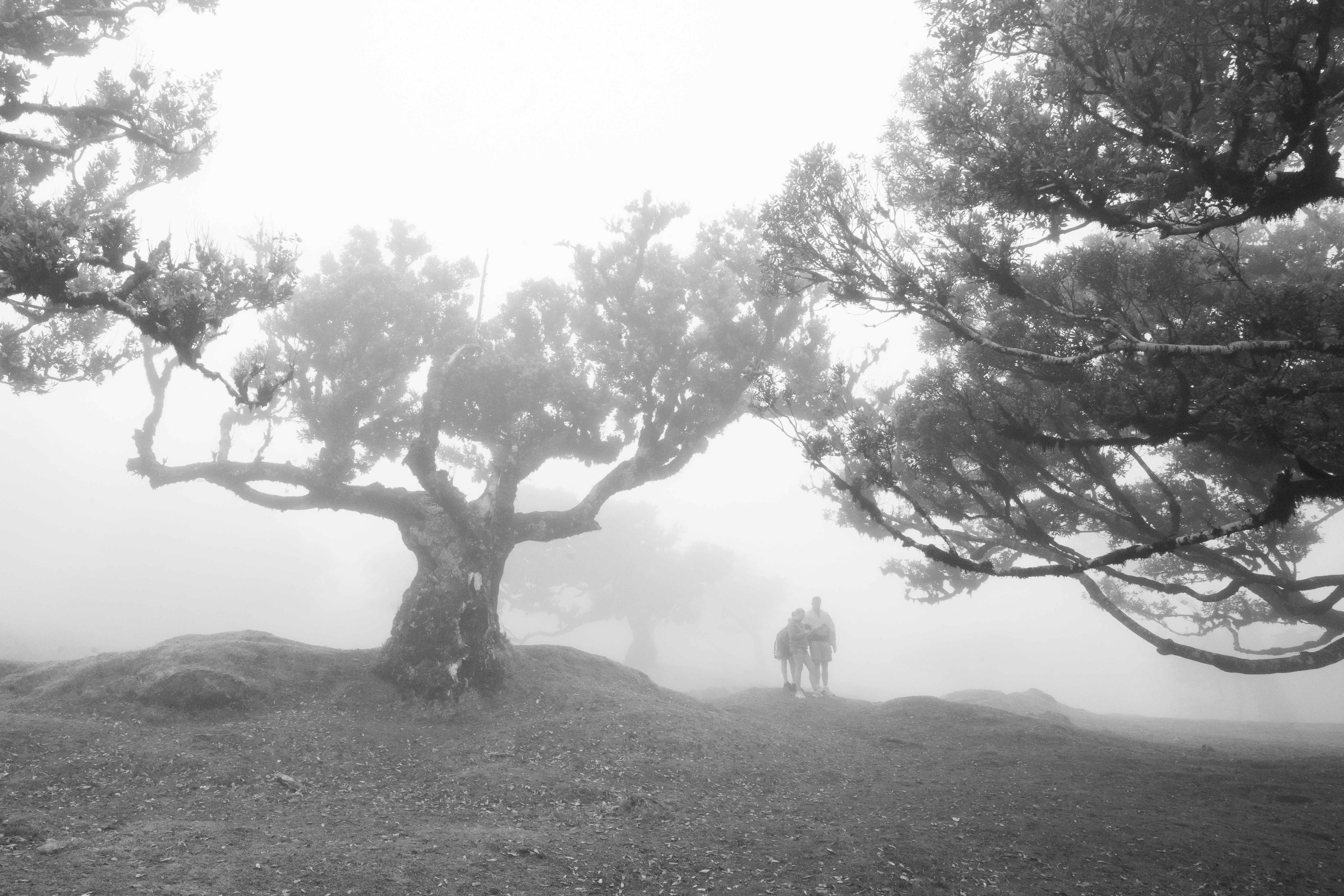 The following photo is from my second stay in Madeira, when we explored various hidden corners of the island. You can find more photos from Portugal on my profile.
