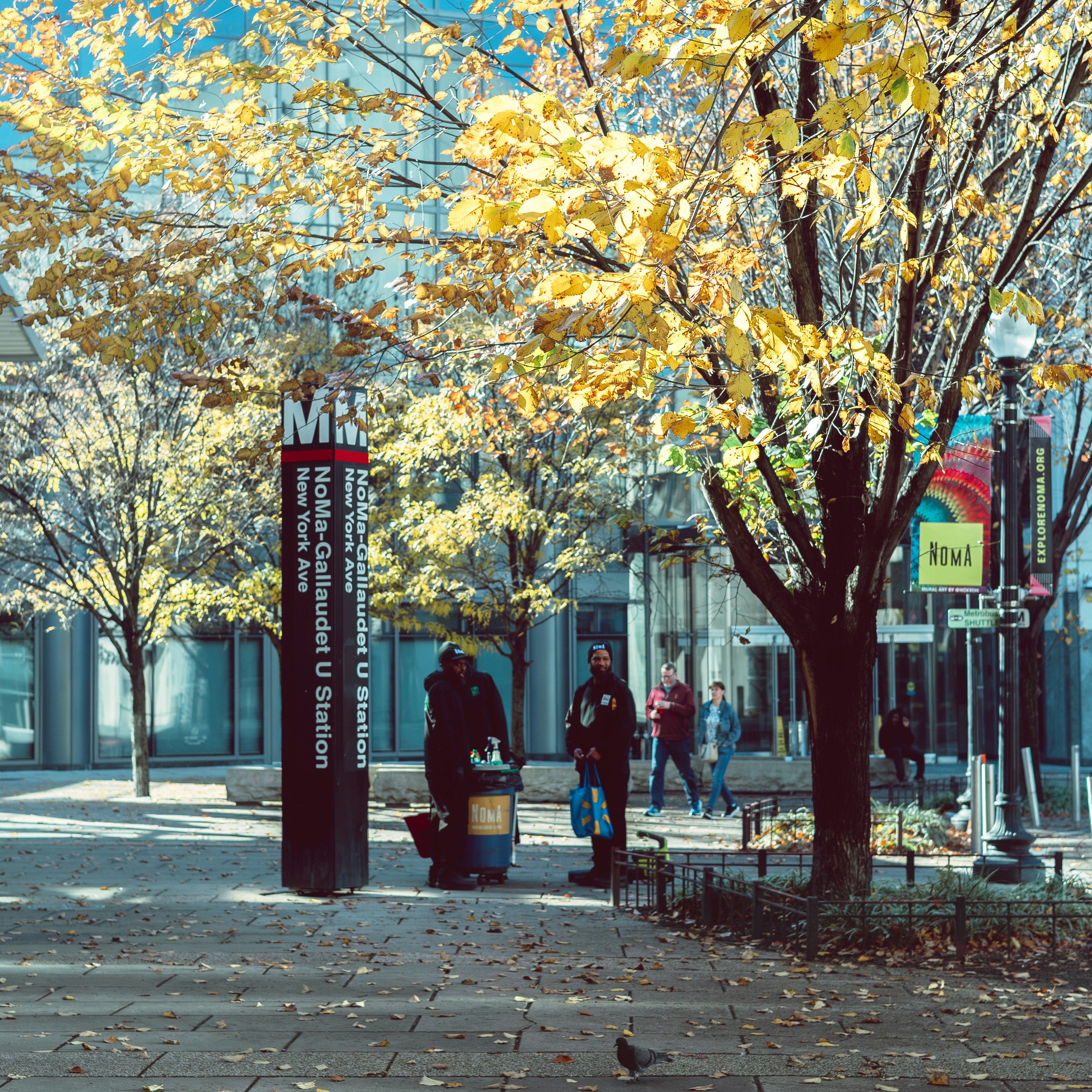 Photo by Connor Gan with Canon EOS RP