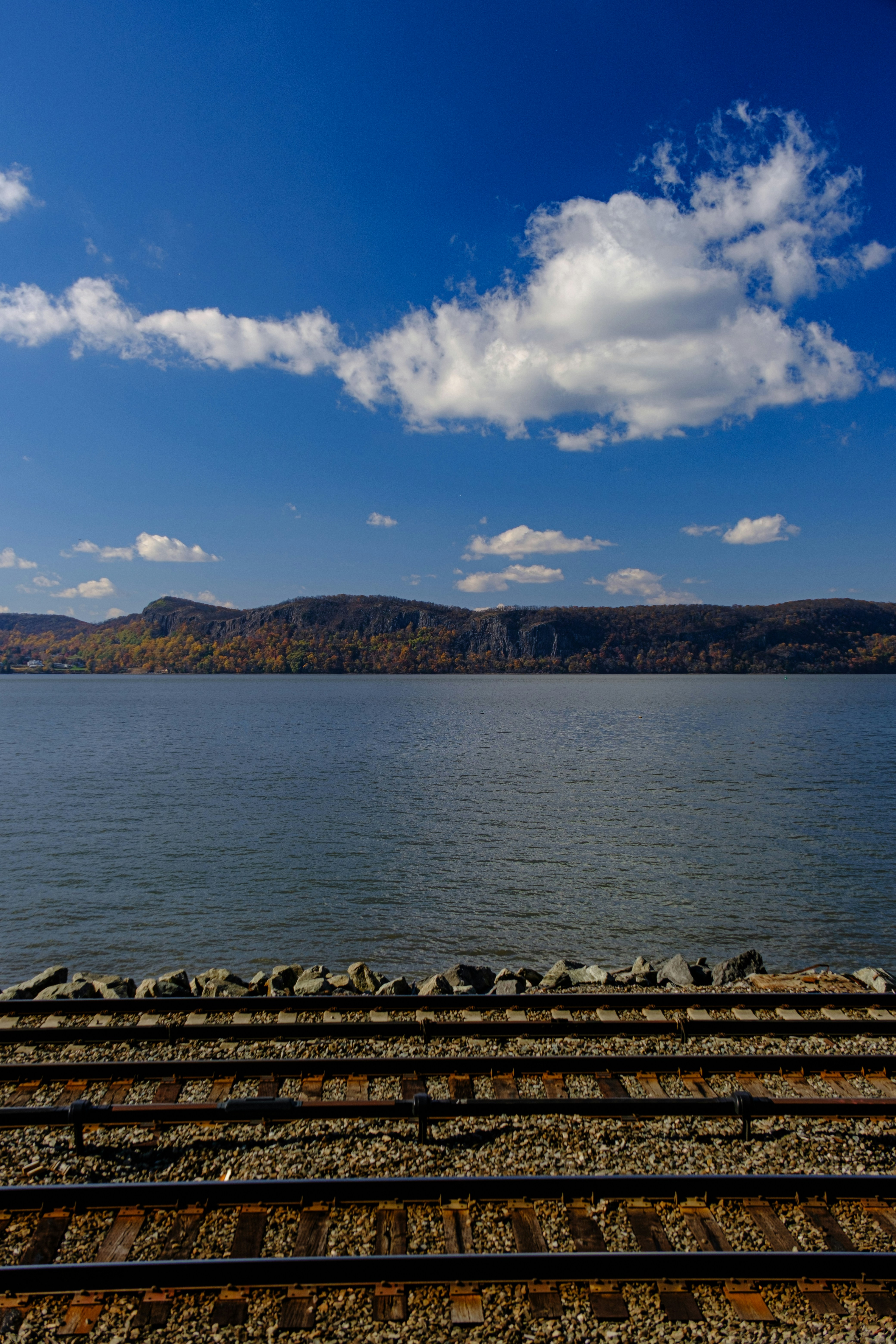 Photo by MICHAEL CHIARA with Fujifilm X-H2S