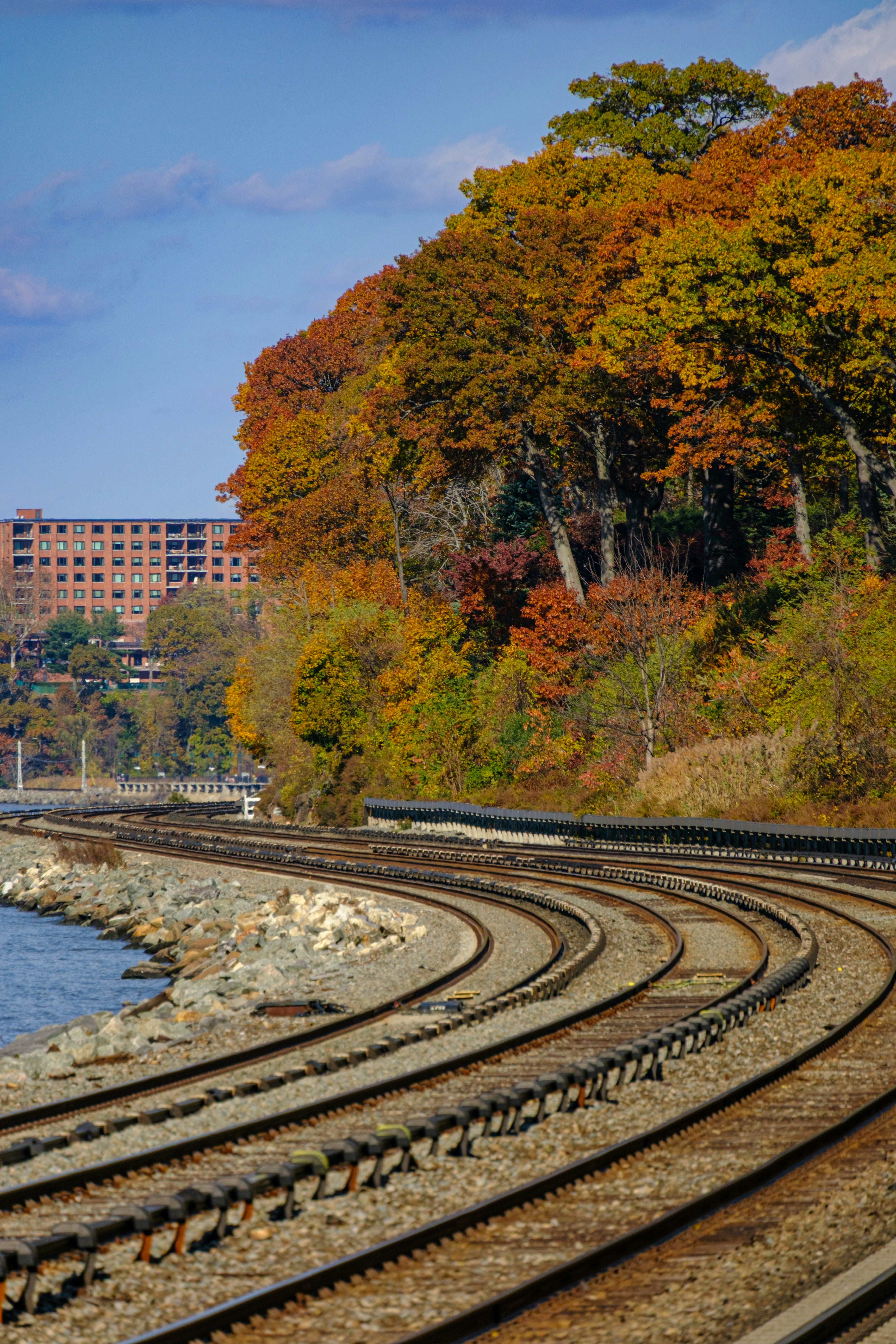 Train tracks curve along a waterfront with autumn trees. photo – Free ...