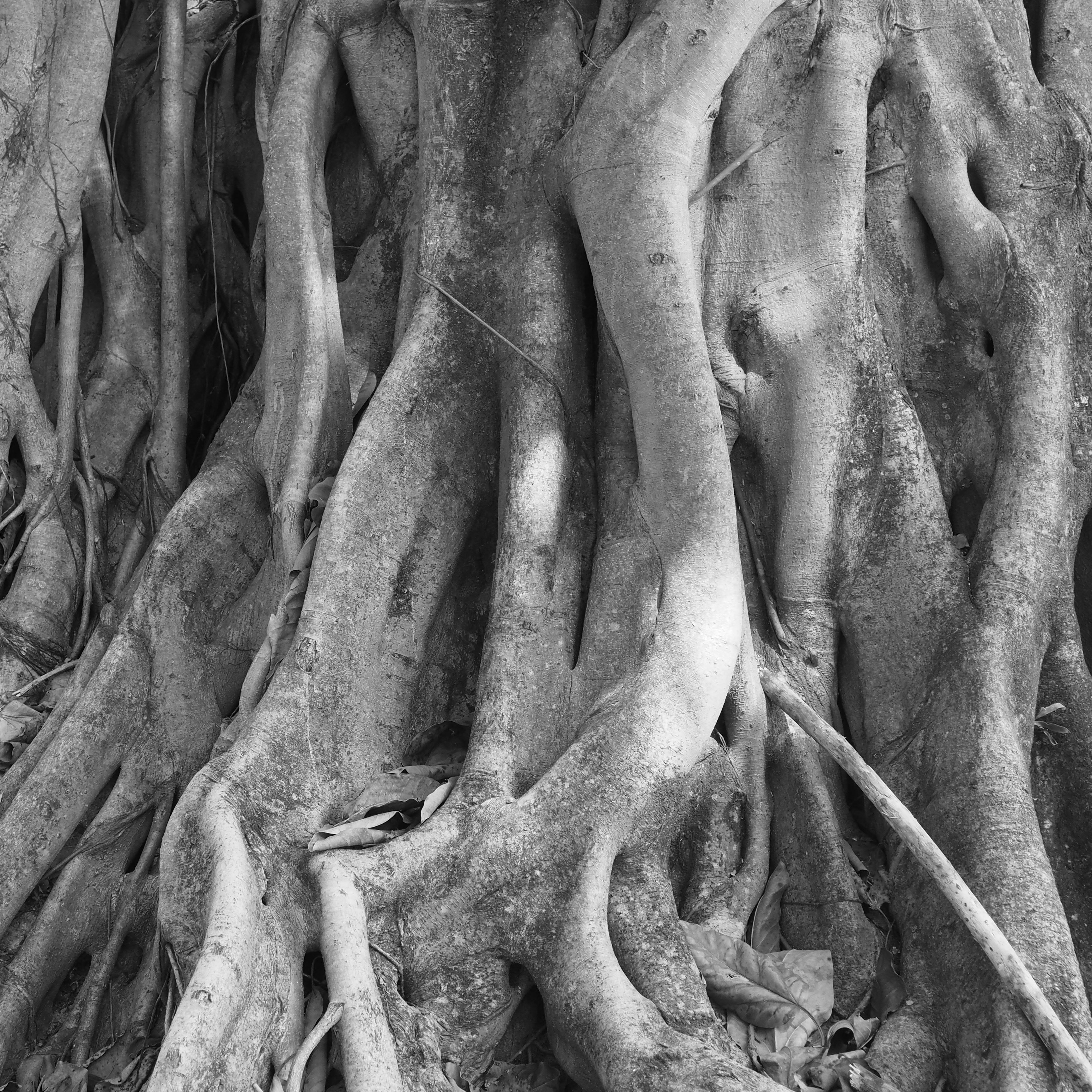 Photo by Jonathan Frank with Olympus OM-D E-M10 Mark II