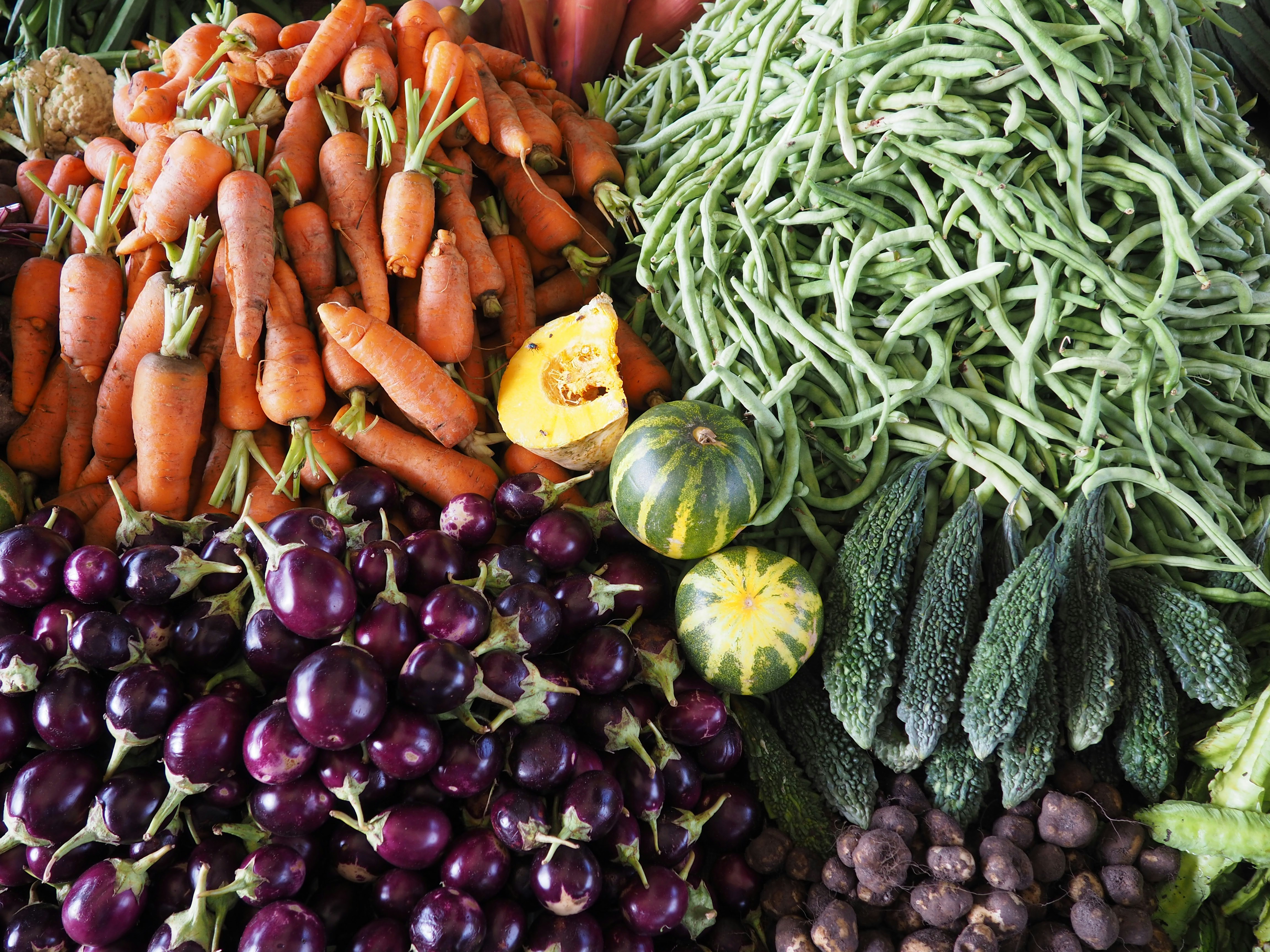Harvest Mosaic: A Colorful Market Bounty of Roots, Pods, and Fruit