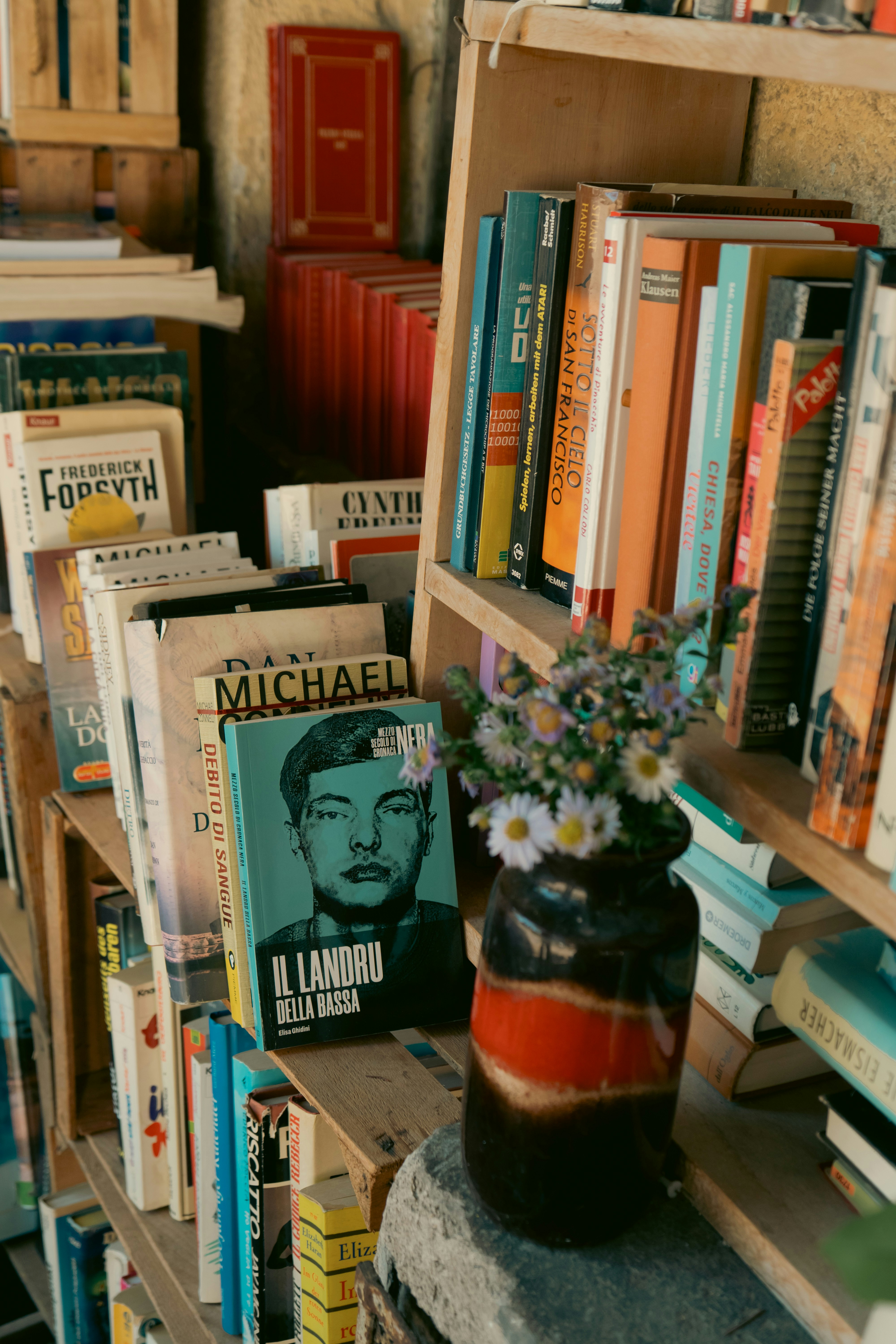 Face on the Shelf: A Portrait Emerges from a Cozy Bookshelf Still Life