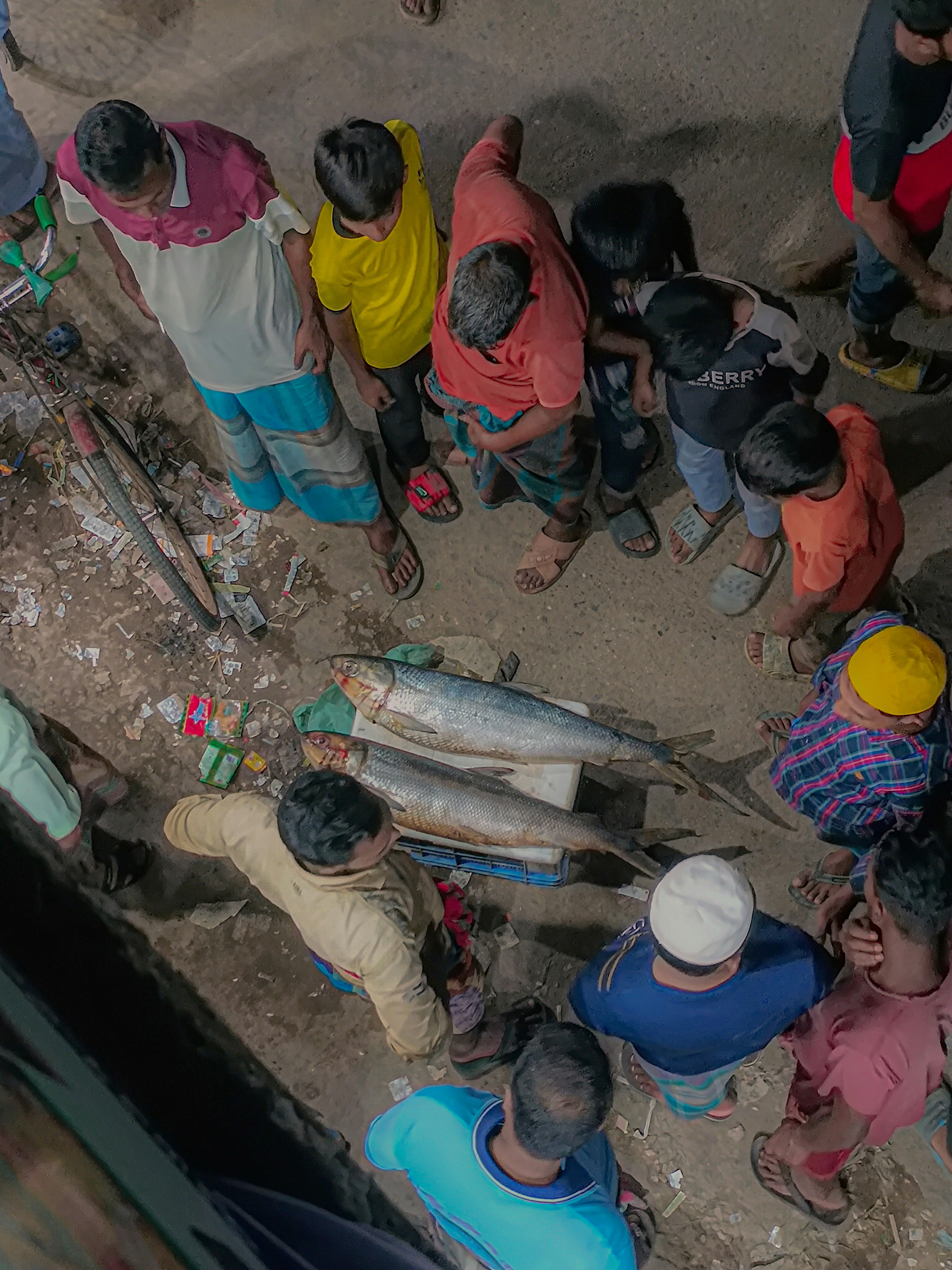 People gathered around large fish at a market.