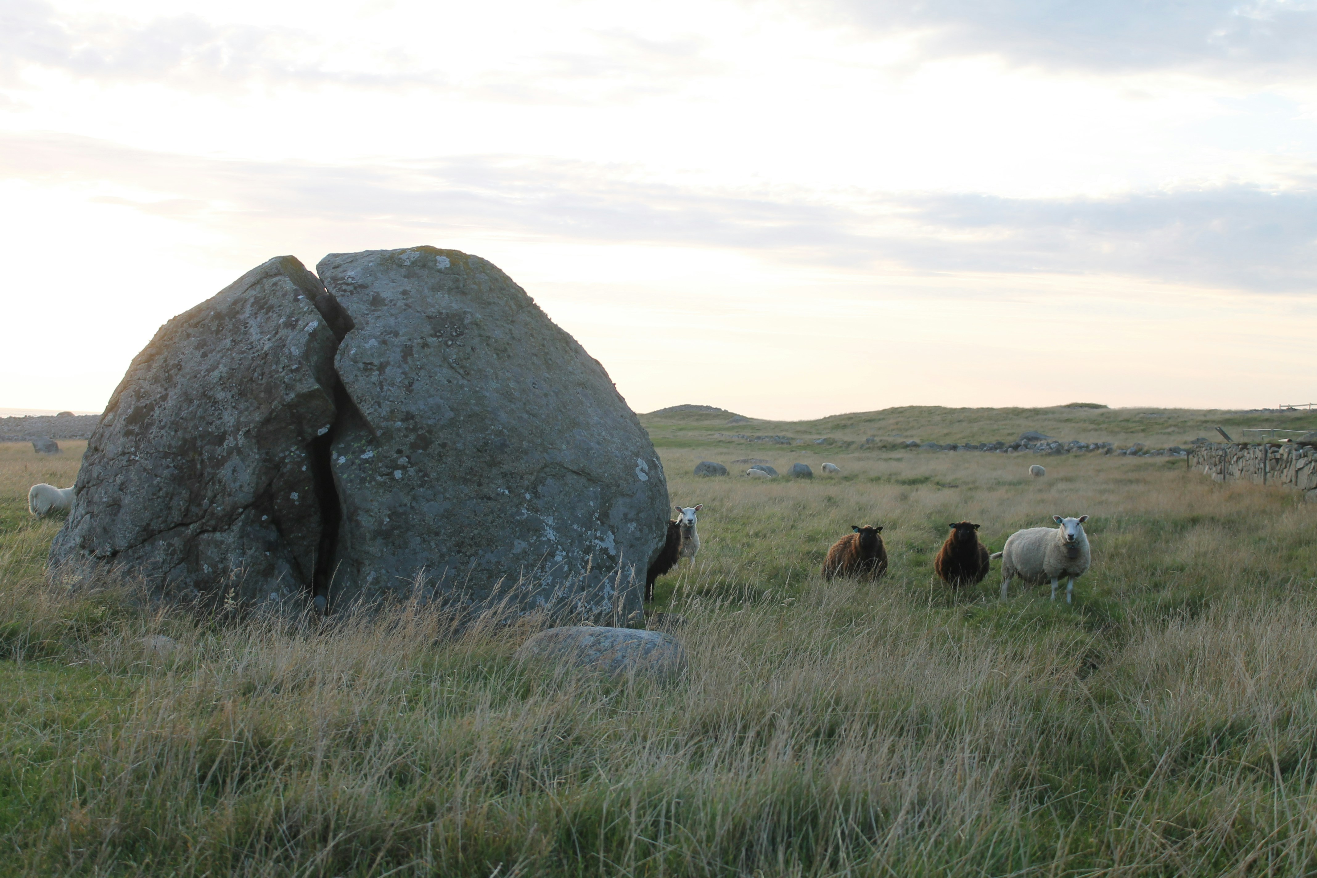 Photo by Volodymyt Hunko with Canon EOS 1100D