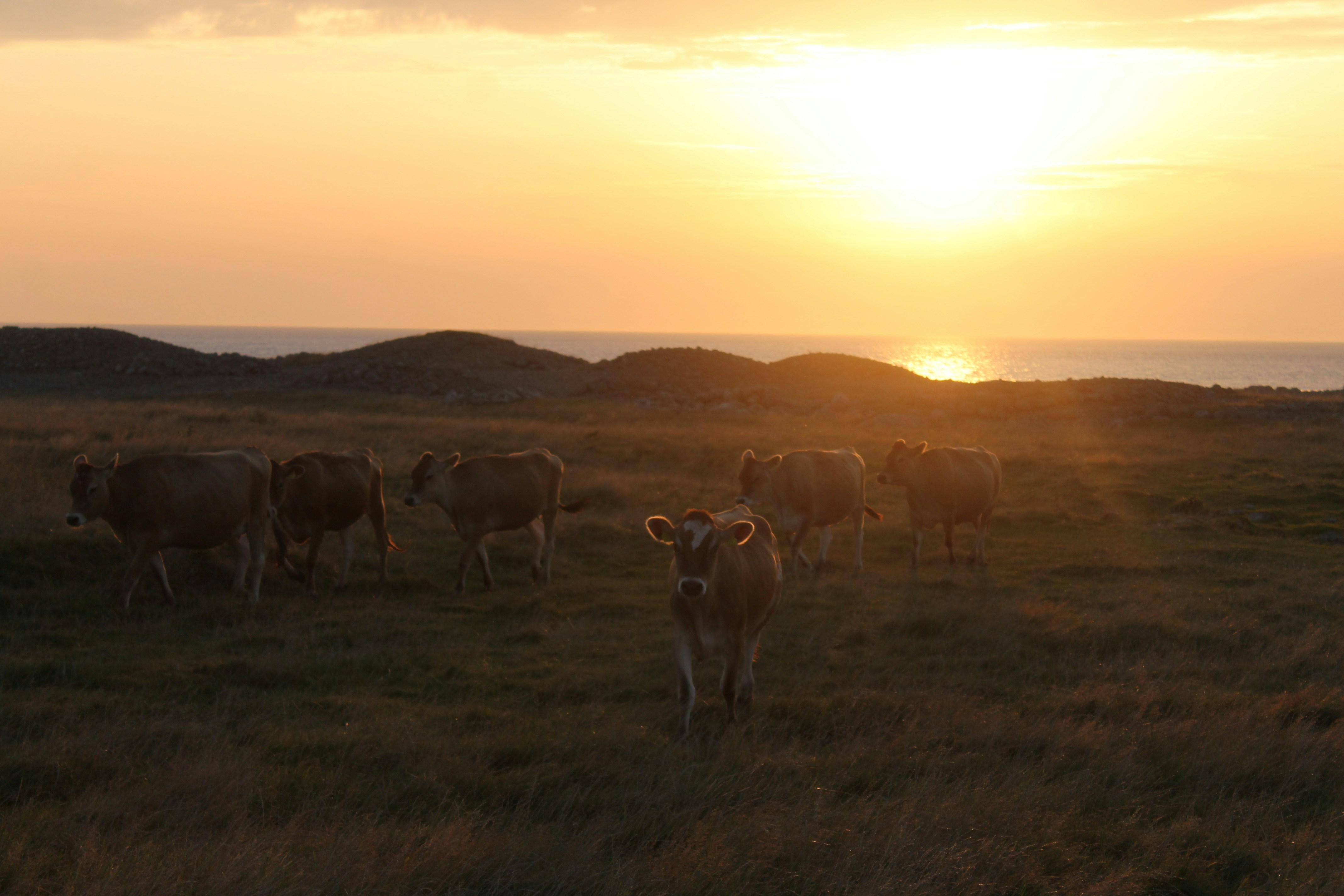 Photo by Volodymyt Hunko with Canon EOS 1100D