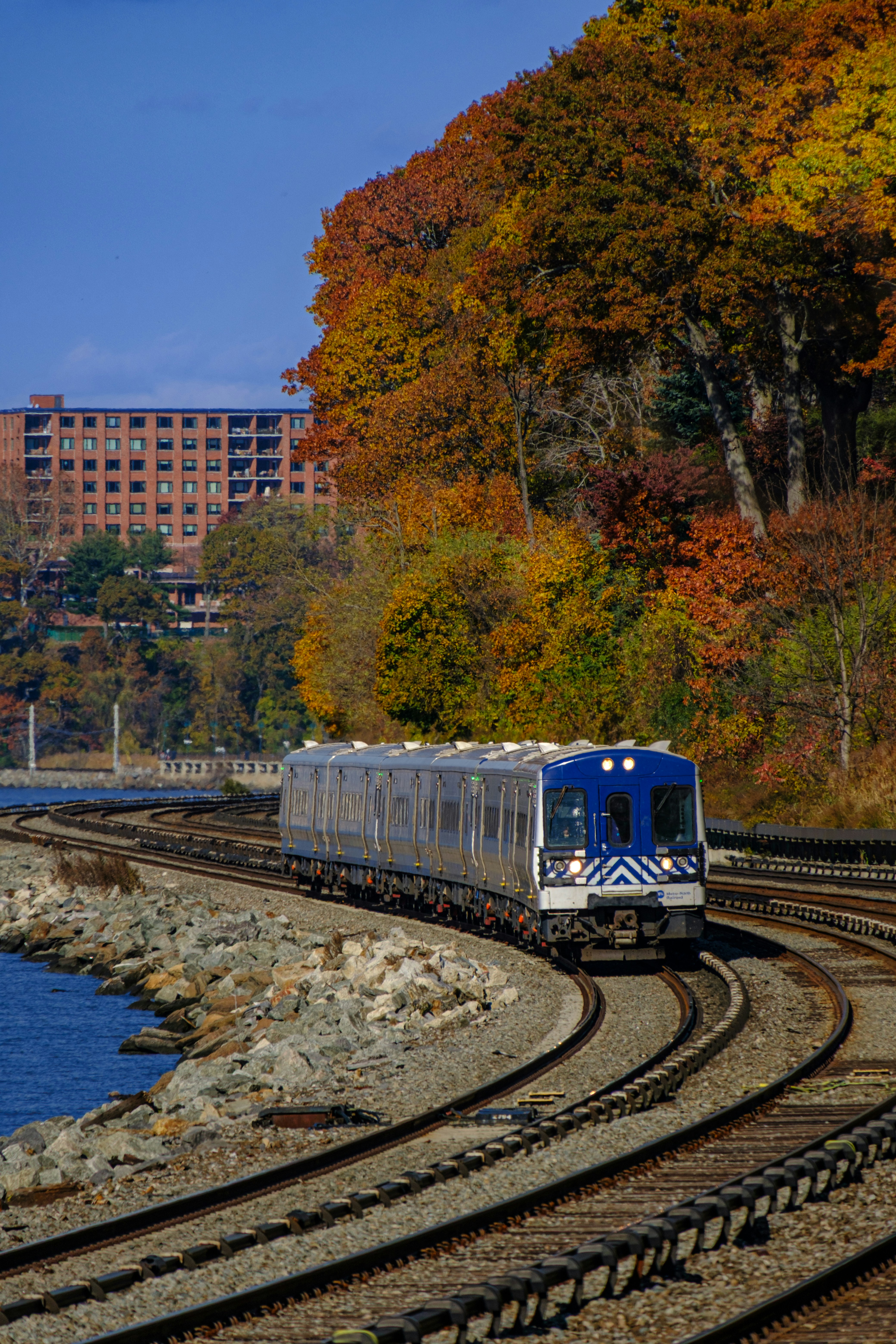 Photo by MICHAEL CHIARA with Fujifilm X-H2S