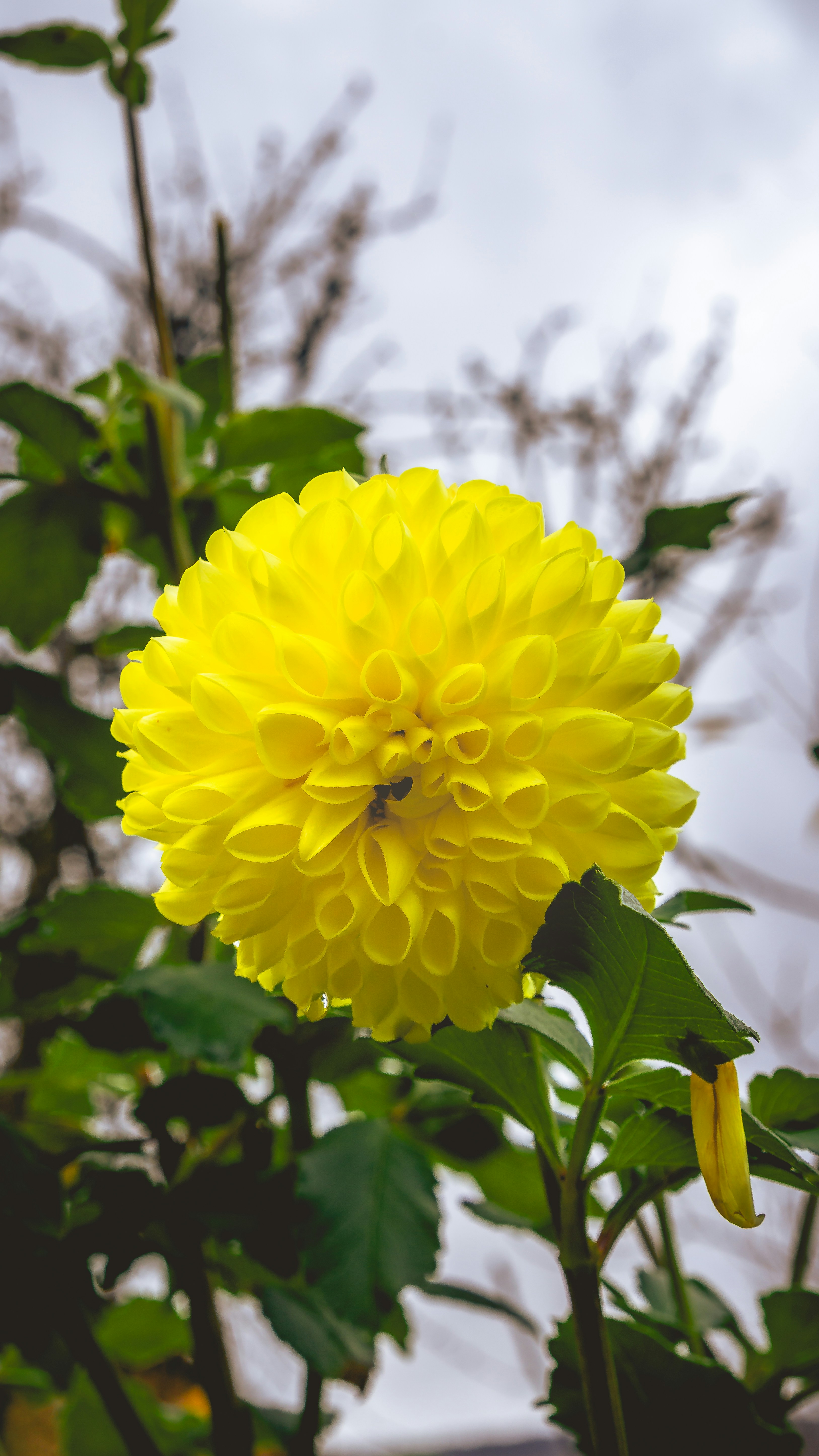 Photo by Viktor Stefanoski with Sony Alpha 6000