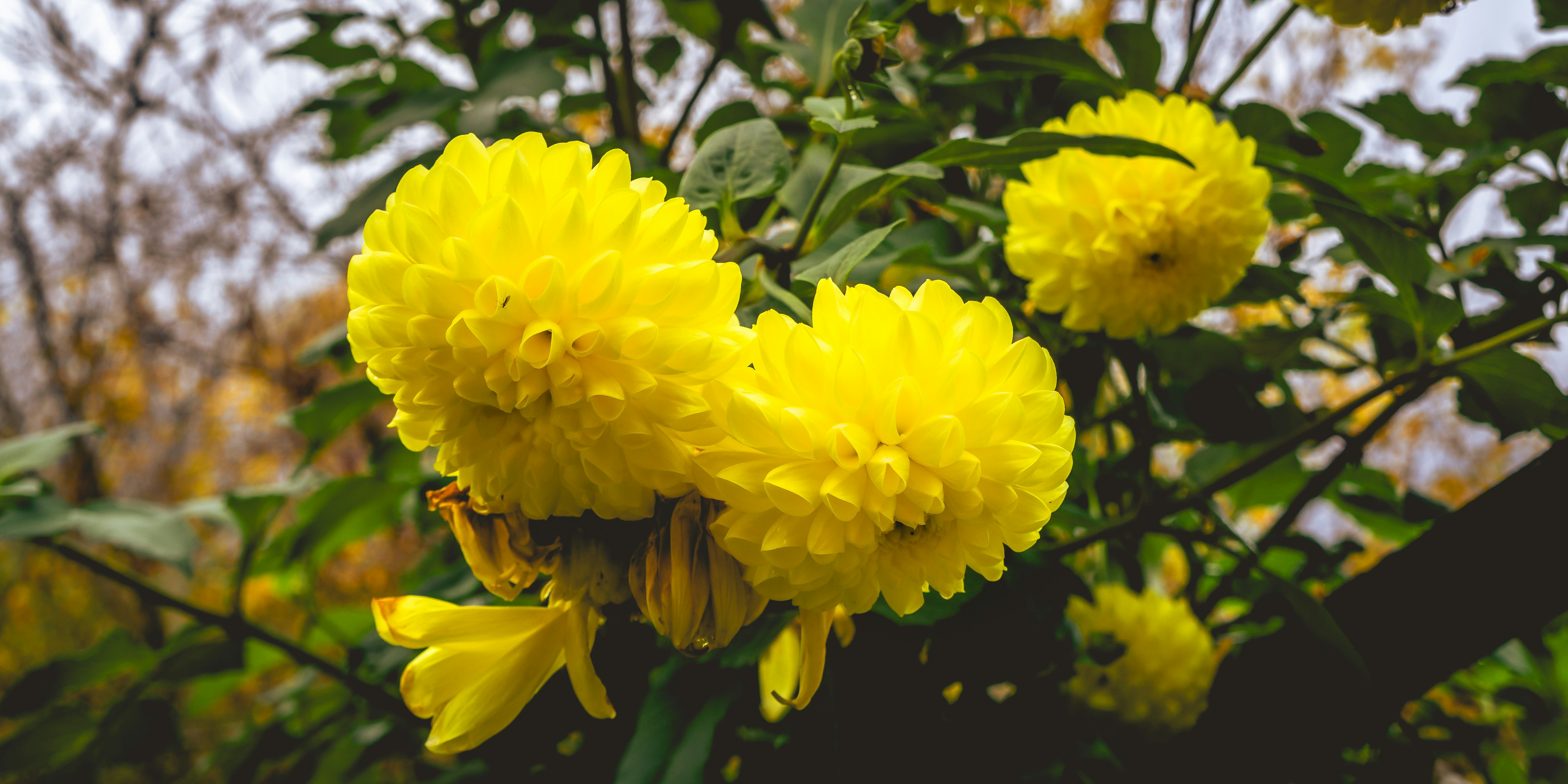 Photo by Viktor Stefanoski with Sony Alpha 6000