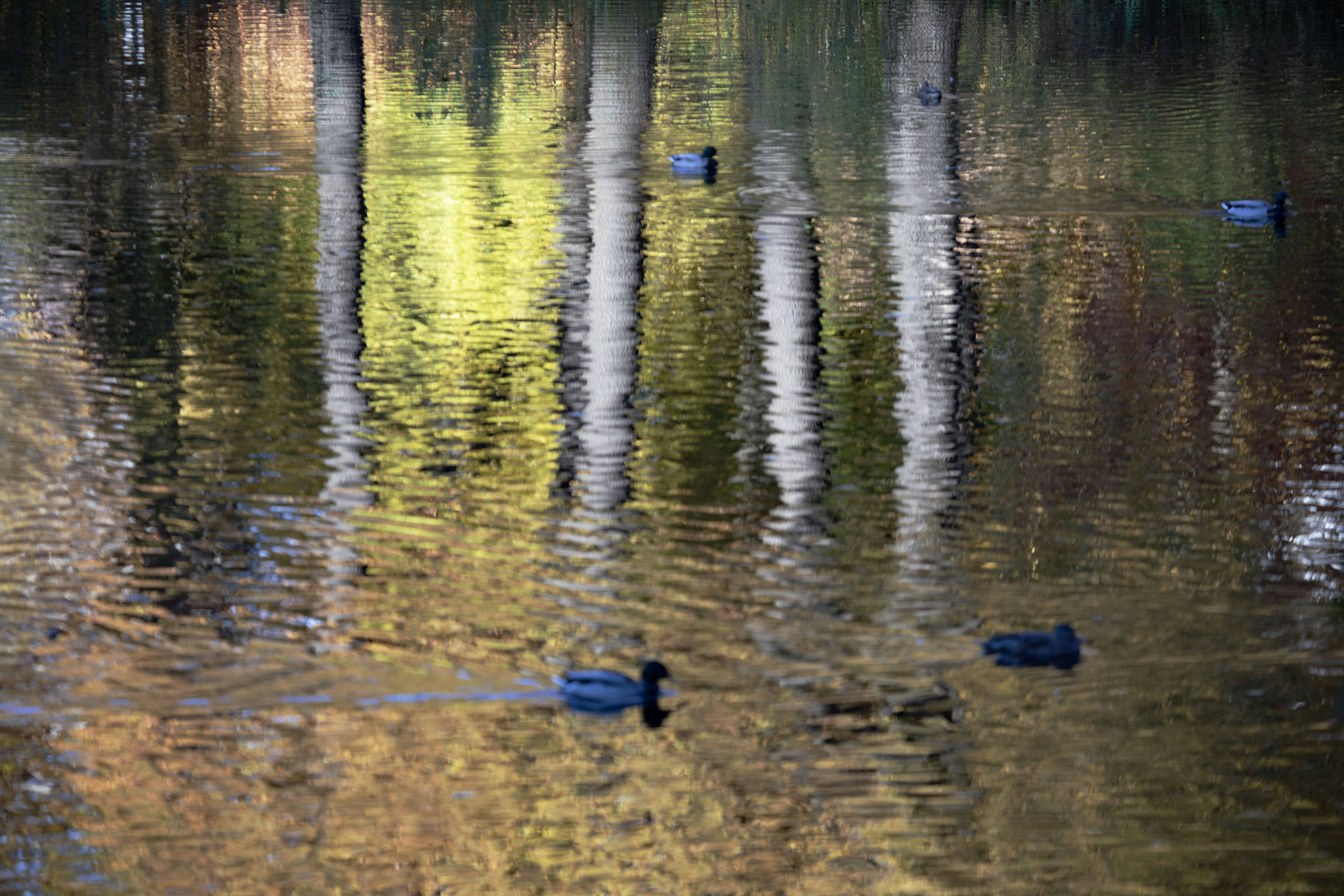 Elagin Island, St. Petersburg