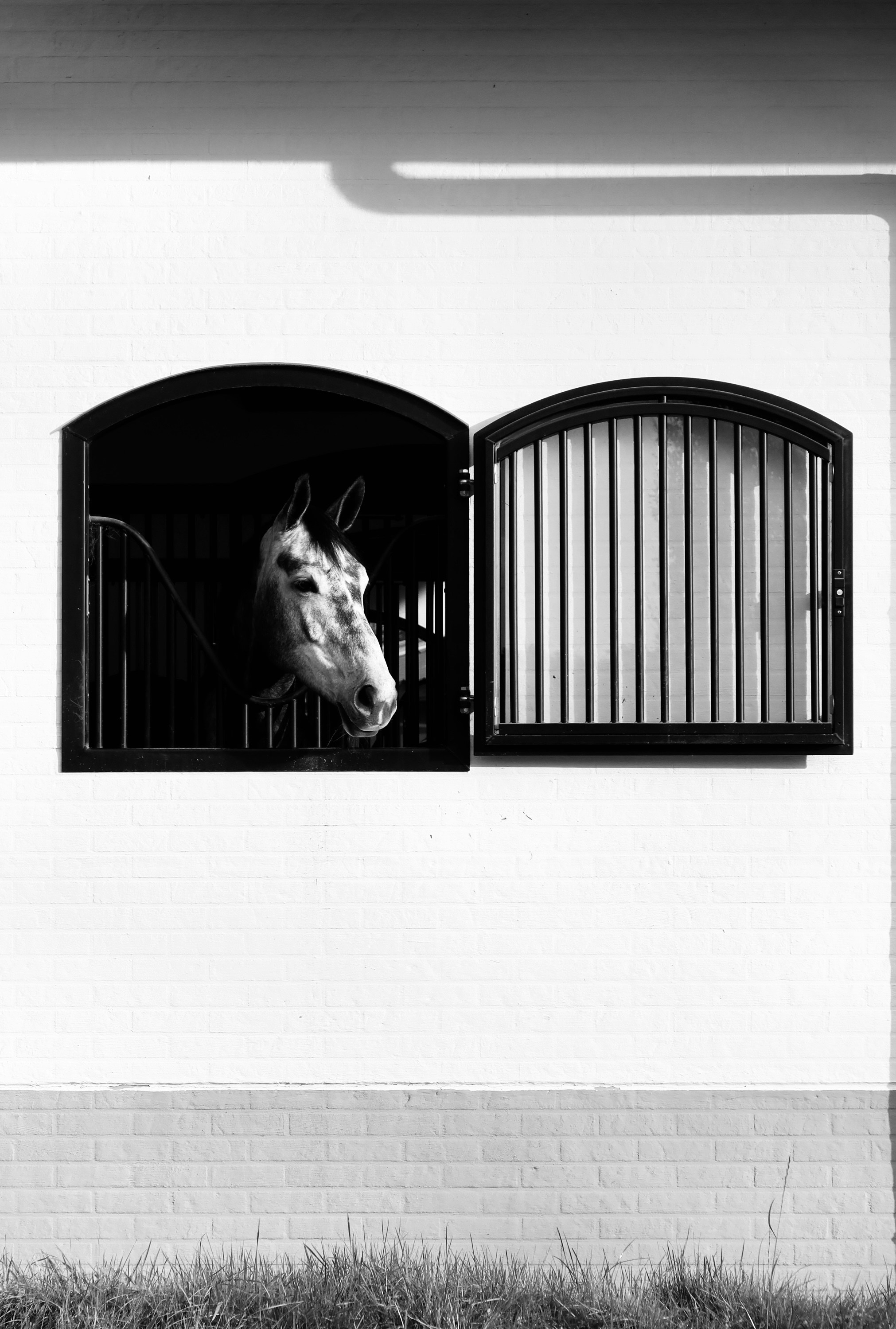 Looking through the window.