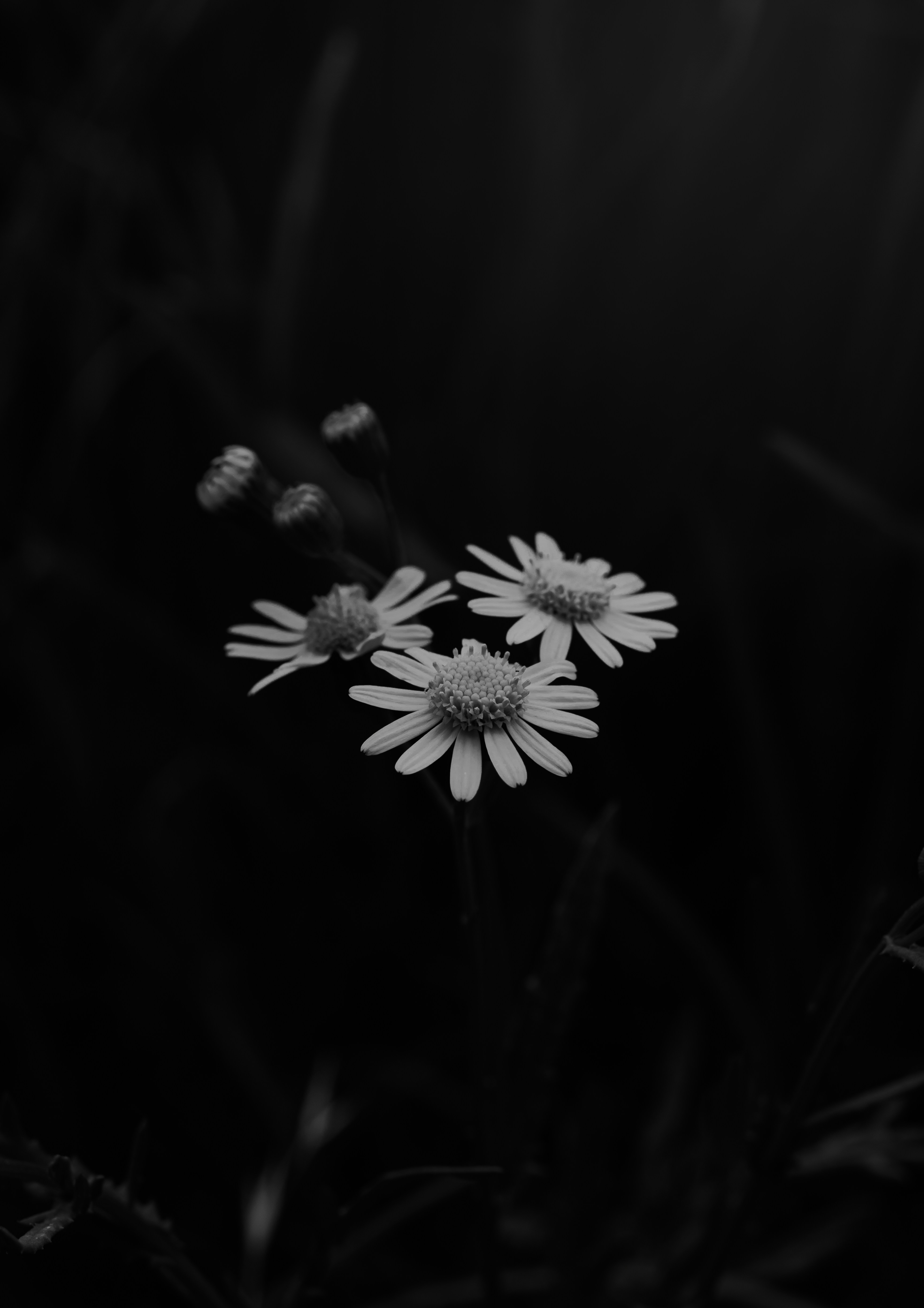 Photo by Iván Díaz with Canon EOS M50 Mark II