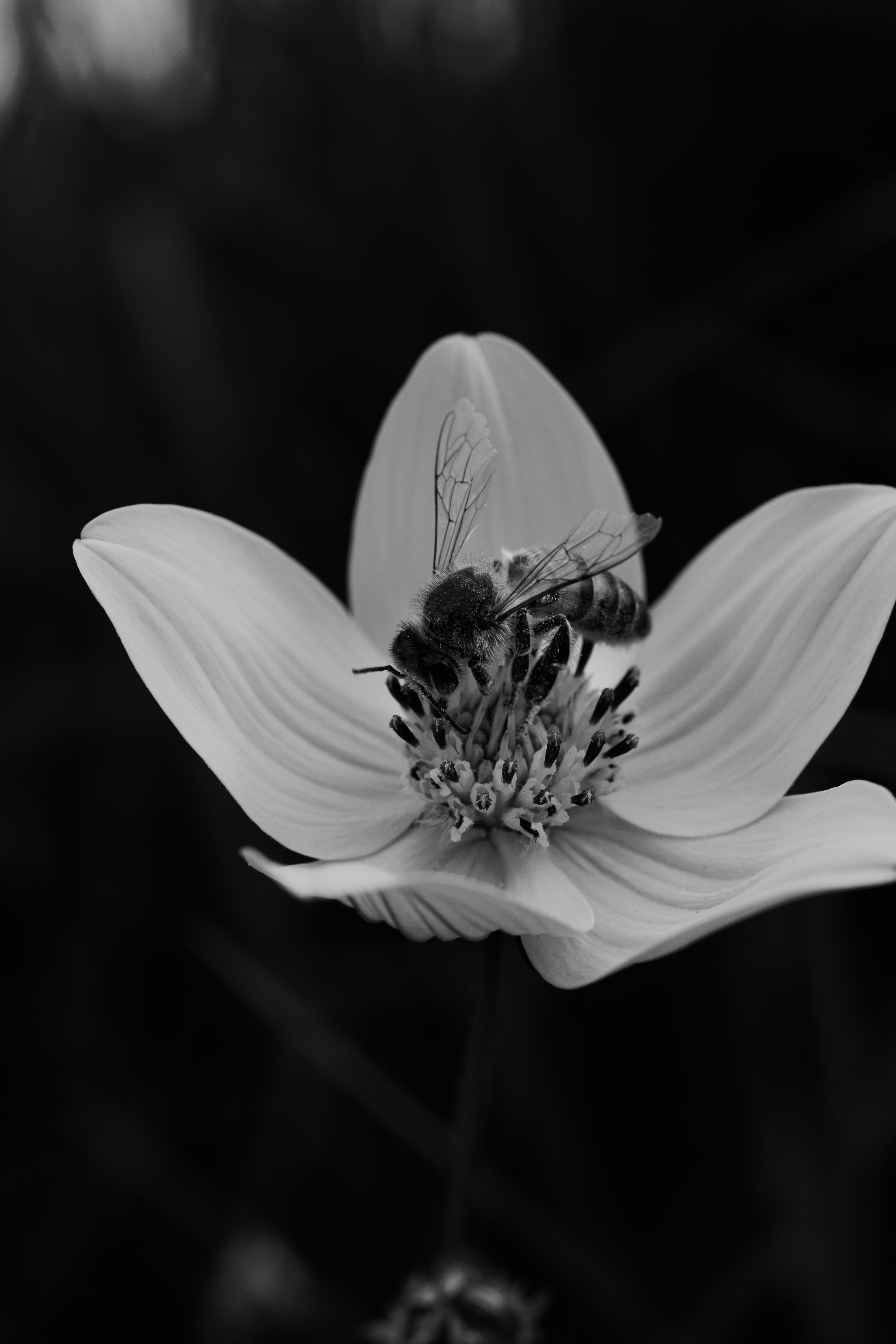 Photo by Iván Díaz with Canon EOS M50 Mark II