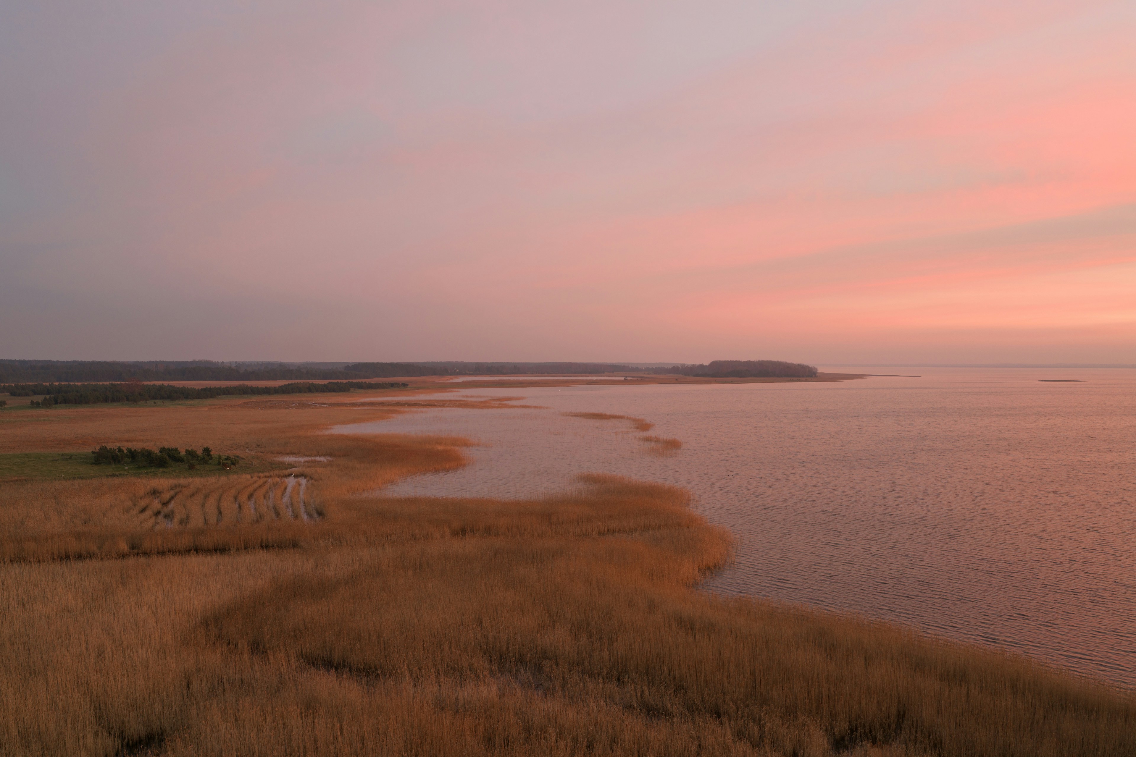 Photo by Oskar Kadaksoo with Hasselblad L3D-100C