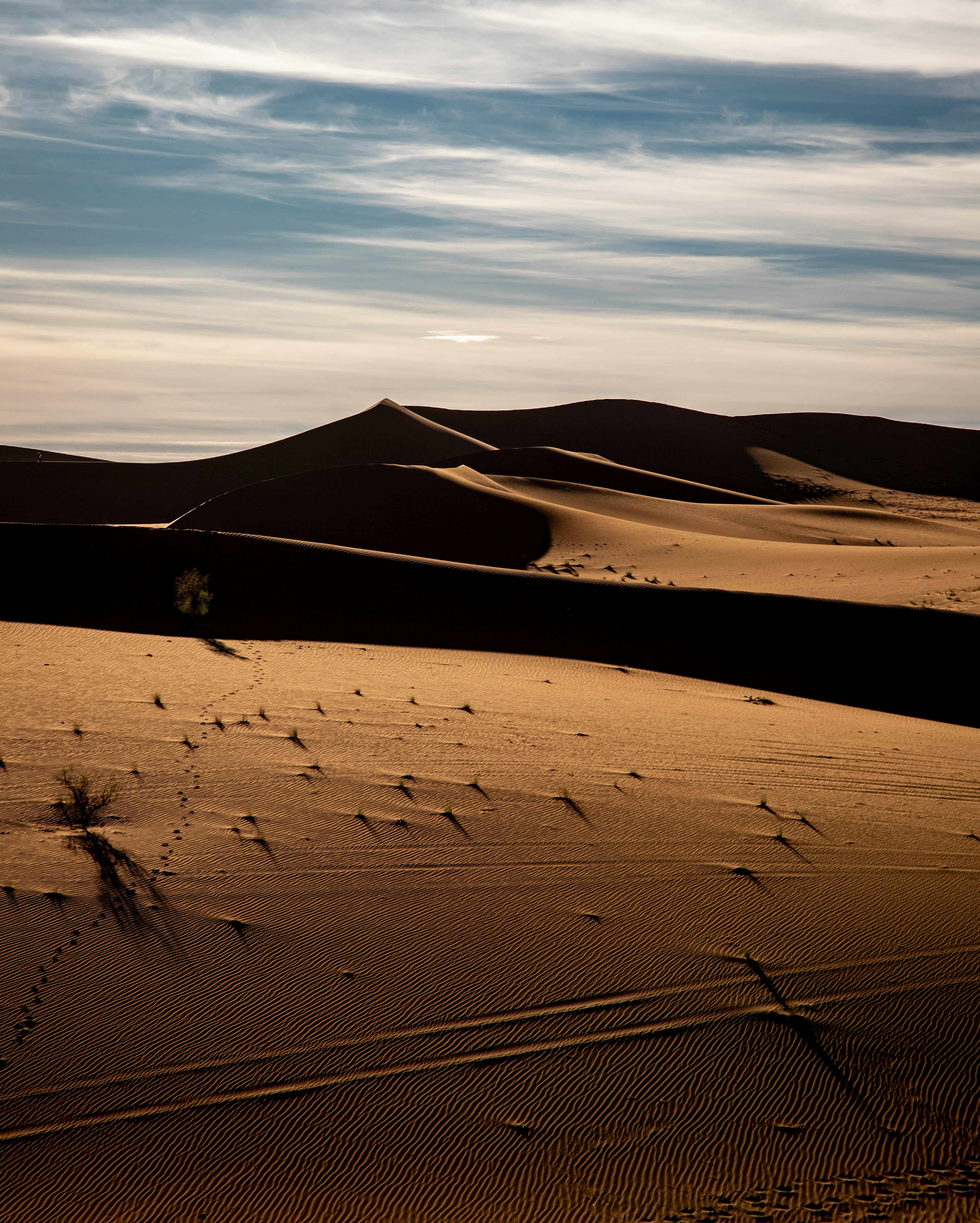 Golden Ridge at Dusk: The Quiet Geometry of Sand