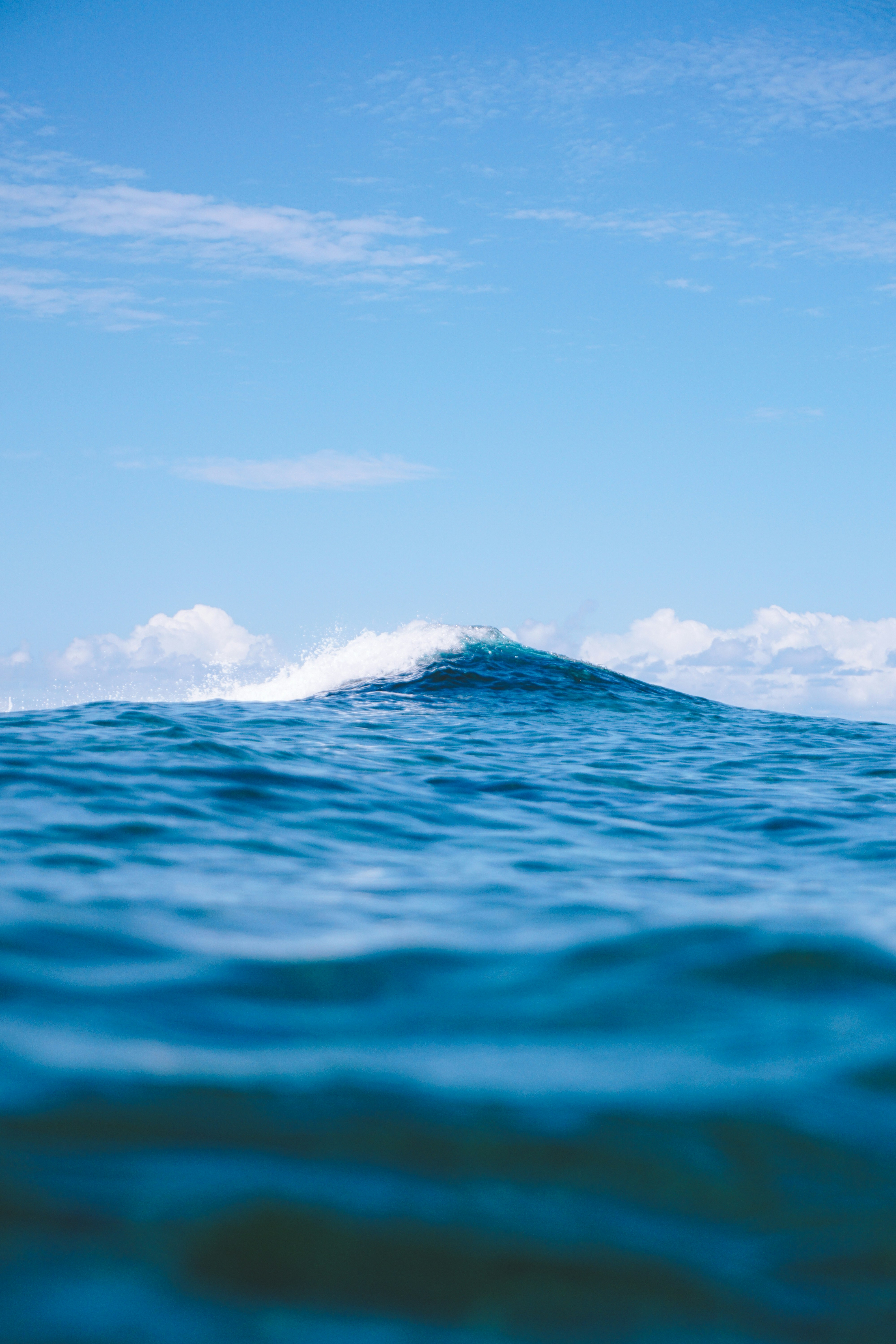 A wave crests under a bright blue sky. photo – Free Sea Image on Unsplash