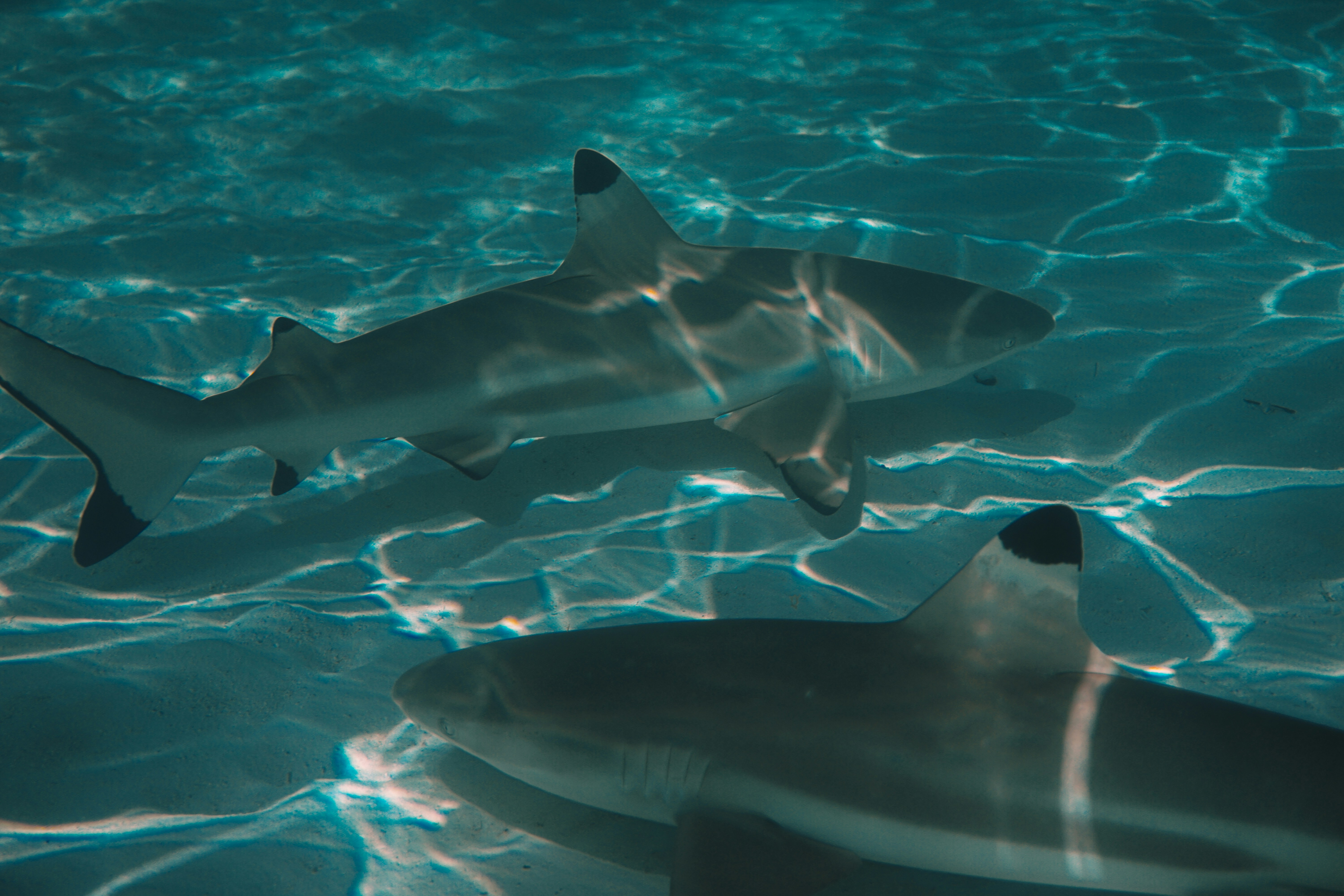 Photo by Corentin Largeron with Sony Alpha 6000