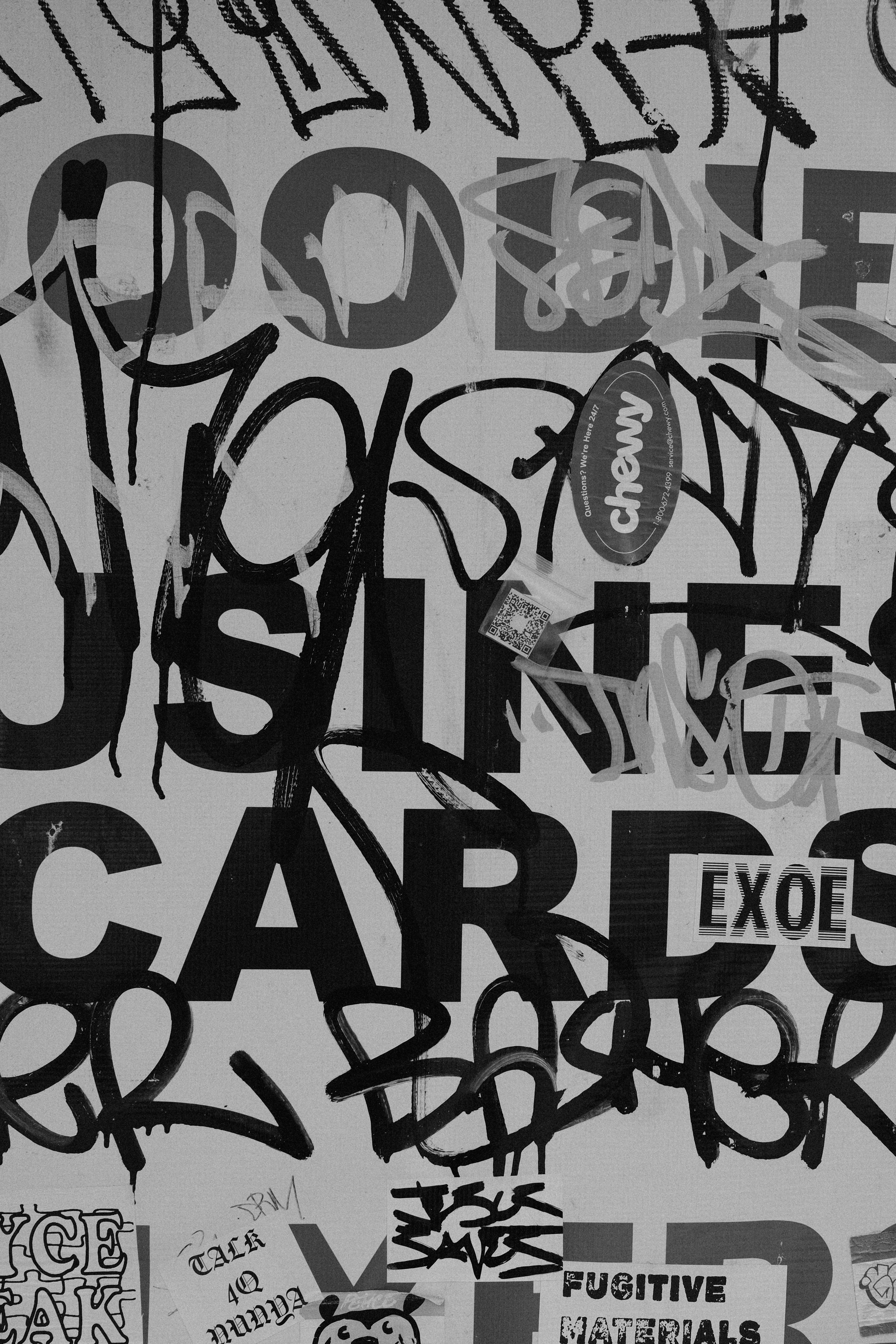 Monochrome Graffiti Jumble: A Dense Typographic Portrait on a Wall