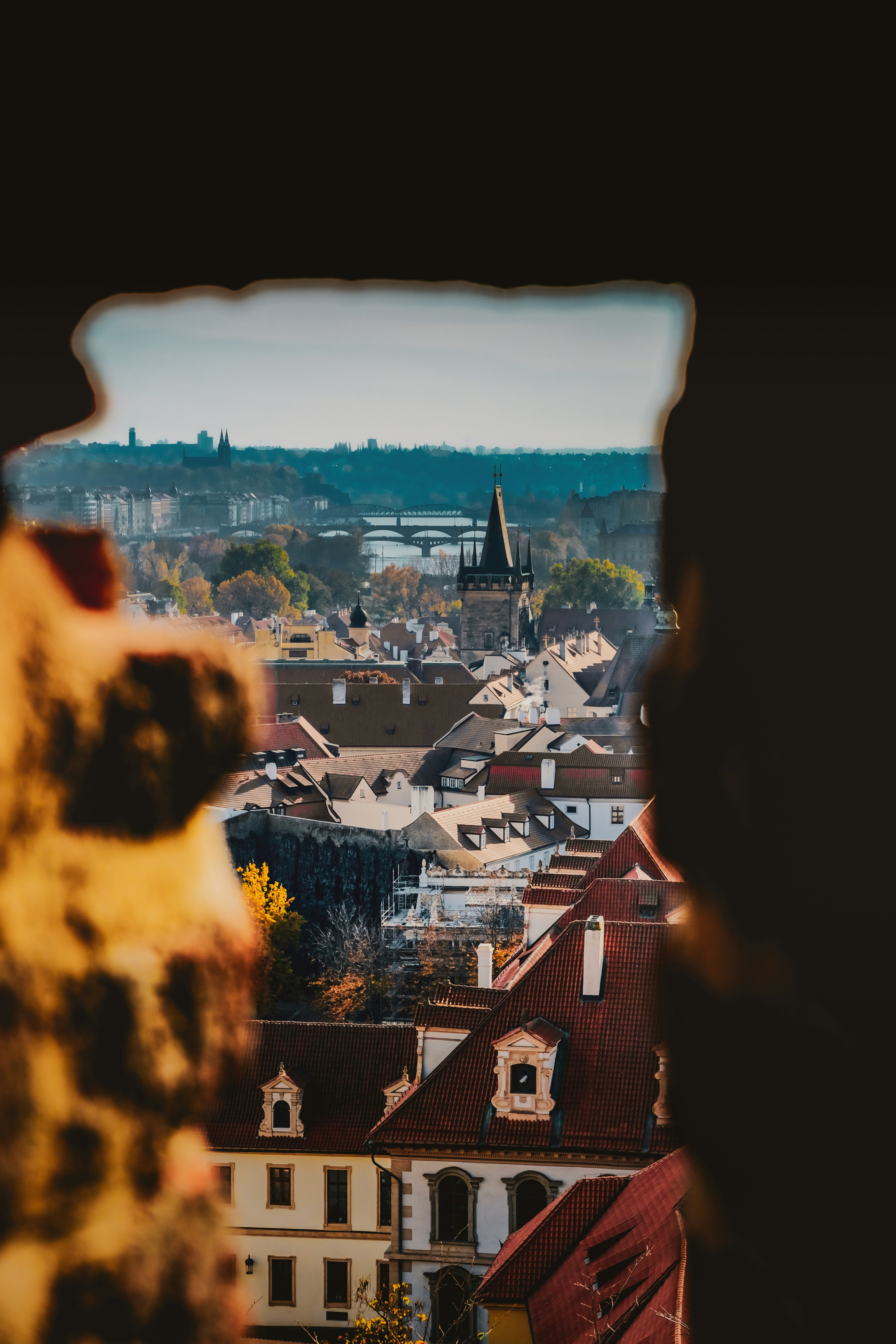 Rooftop Mosaic Through a Weathered Arch