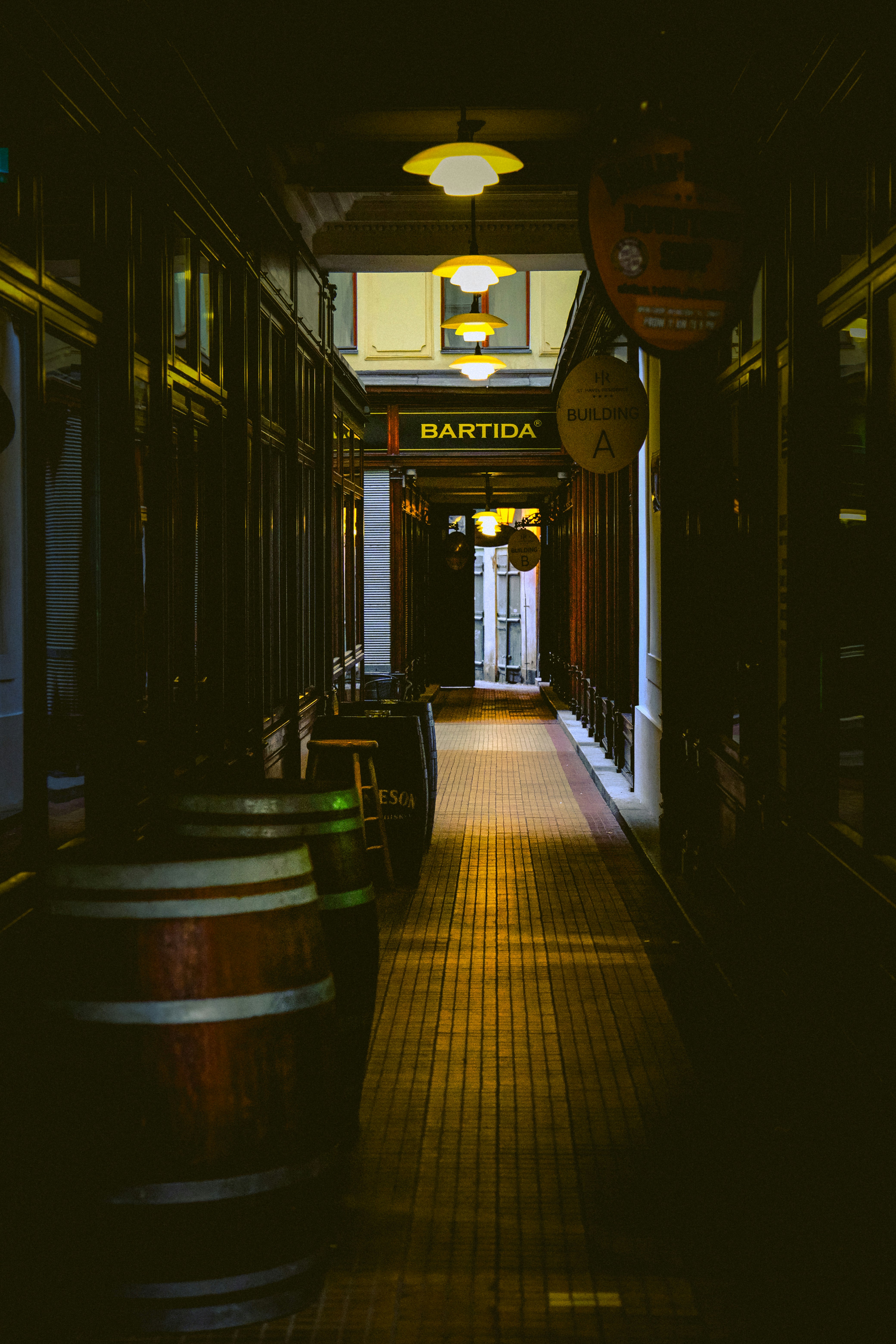 Warm Halo in a Barrel-lined Corridor Toward Bartida