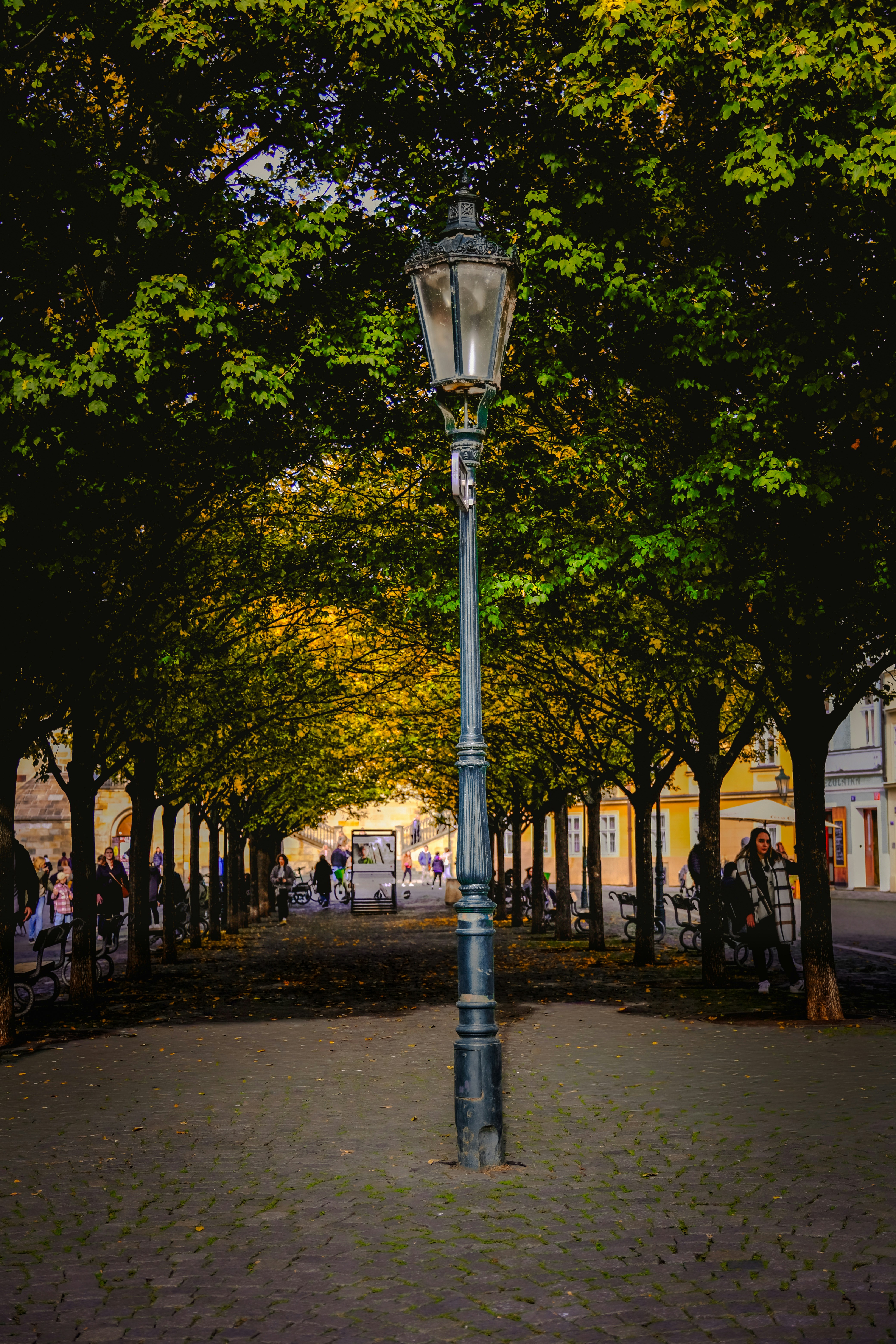 Lamppost in the Autumn Boulevard