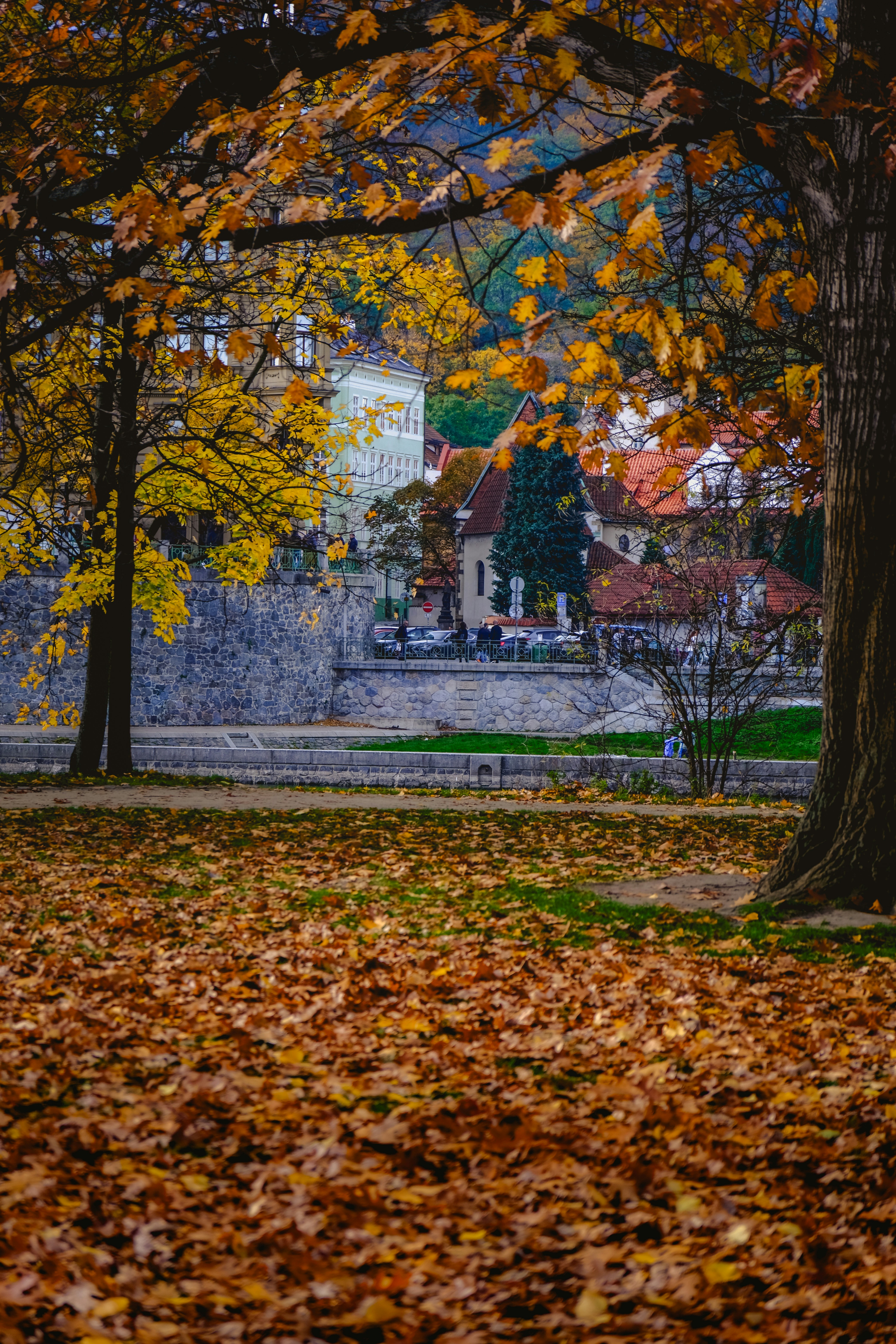 Golden Canopy Over a Stone-Walled Riverside Village