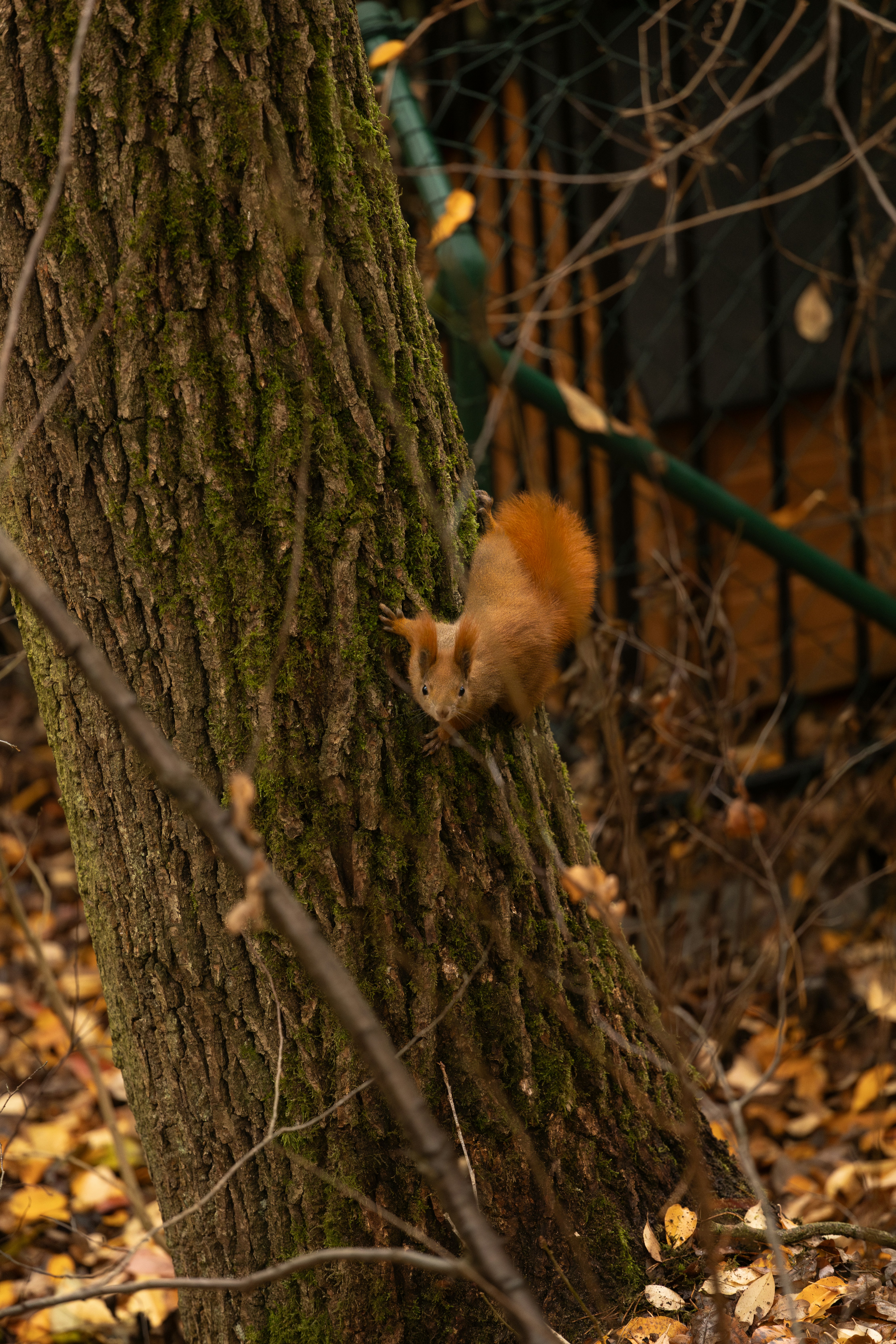 Photo by Peter with Canon EOS R