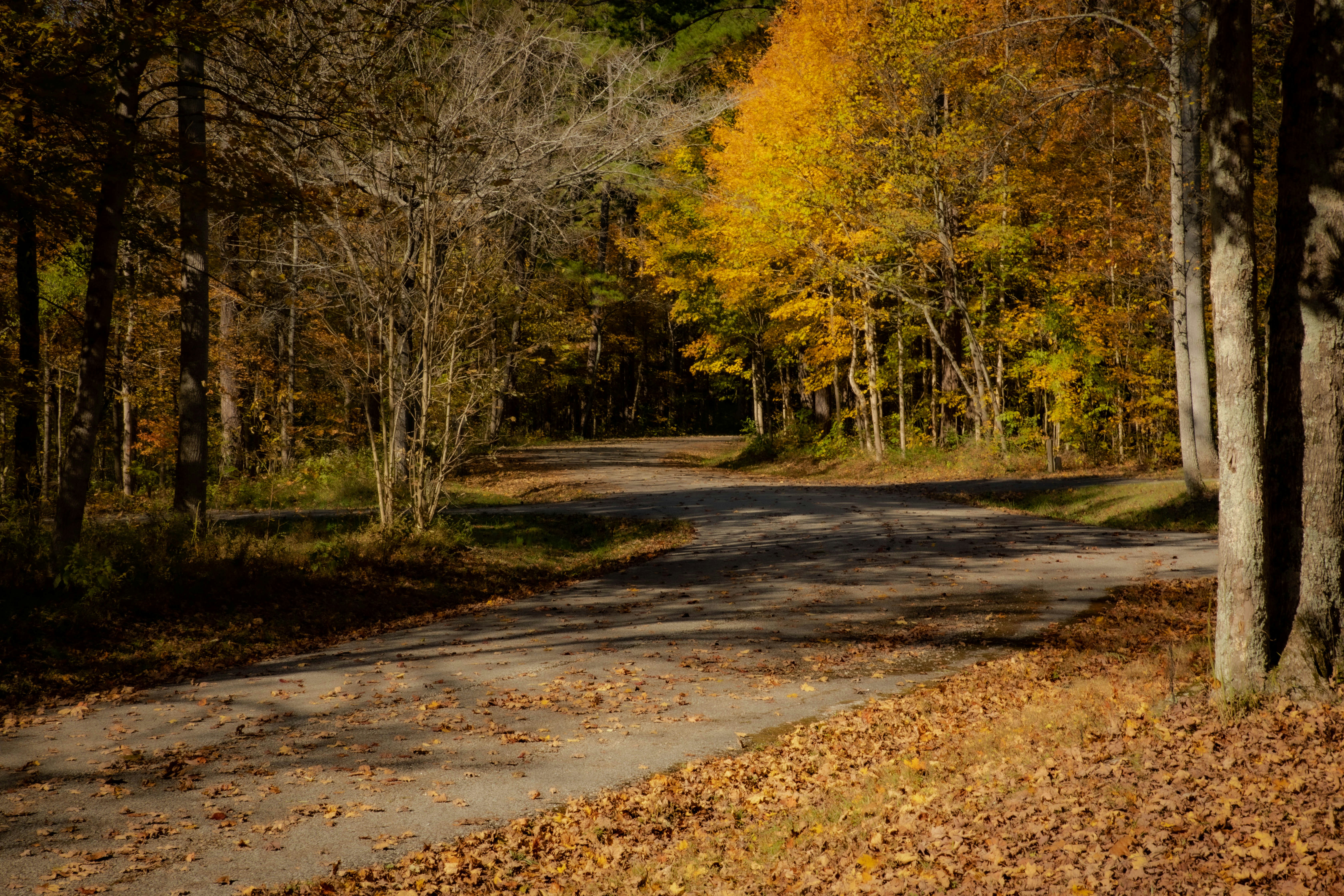 Country road in Hoosier National Forest located in Southern Indiana.