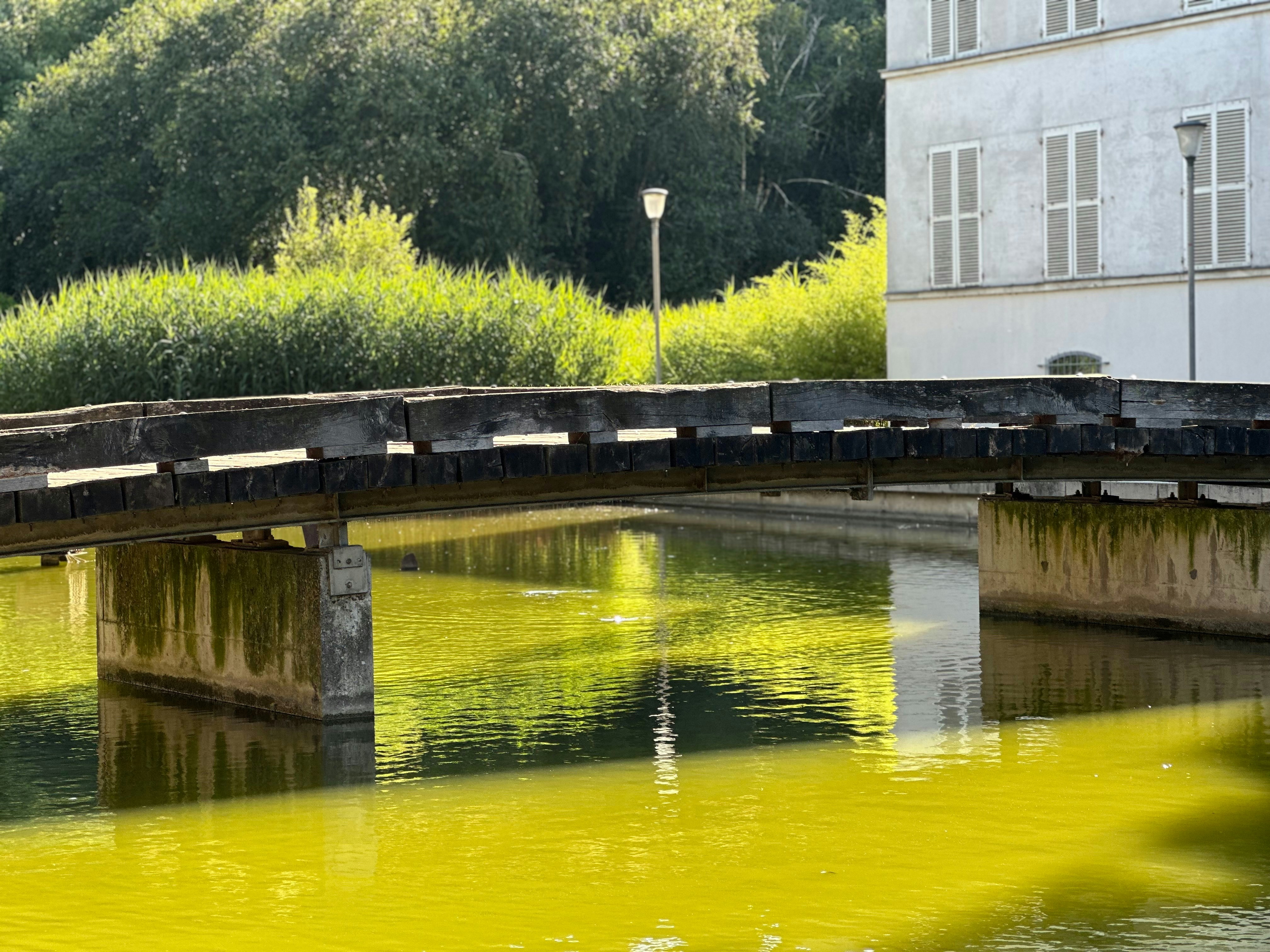 Bridge in Dappled Light: Green-Gold Reflections on a Quiet Canal