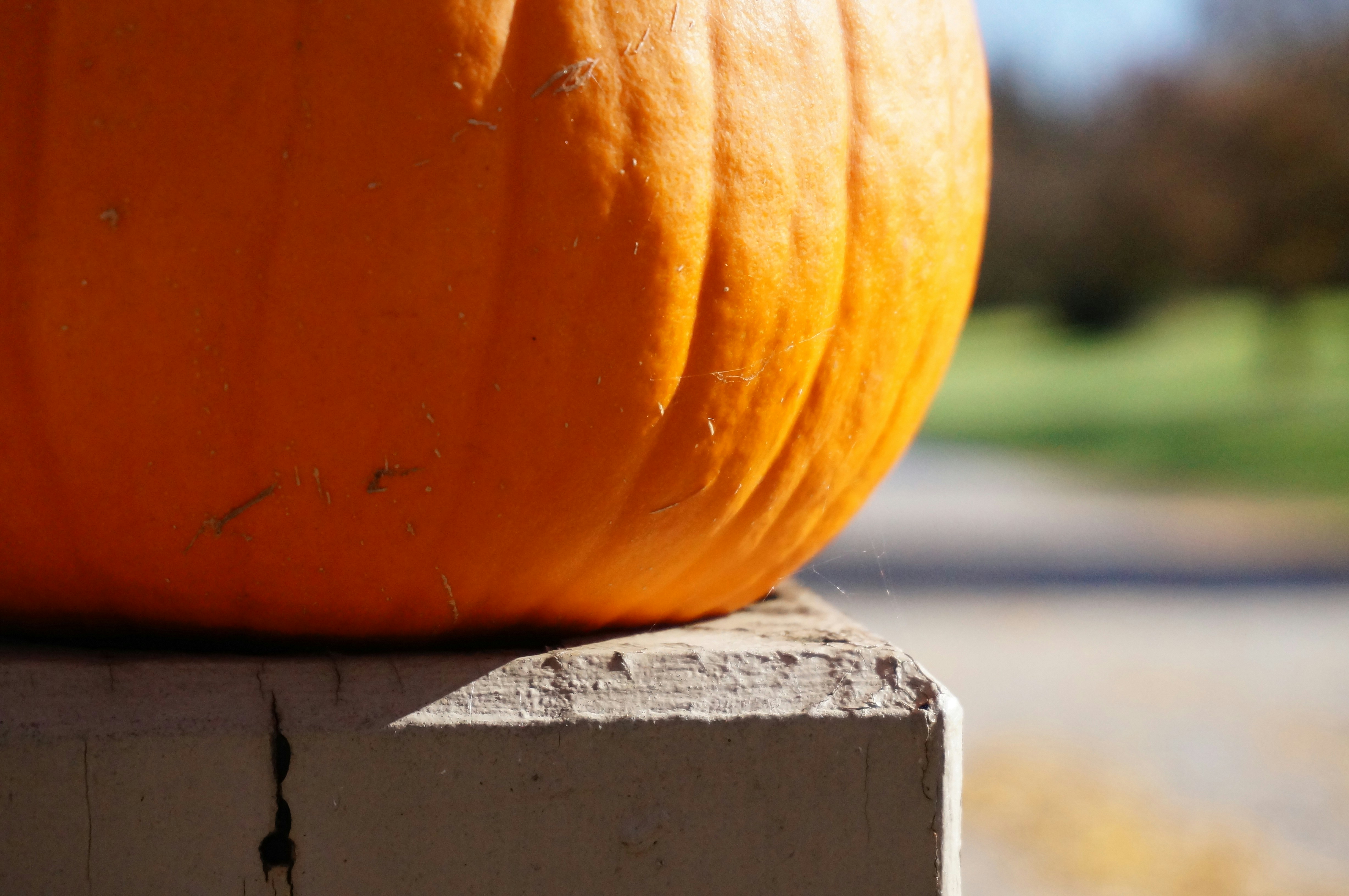 Pedestal Pumpkin: a close-up study of autumn light on a weathered ledge