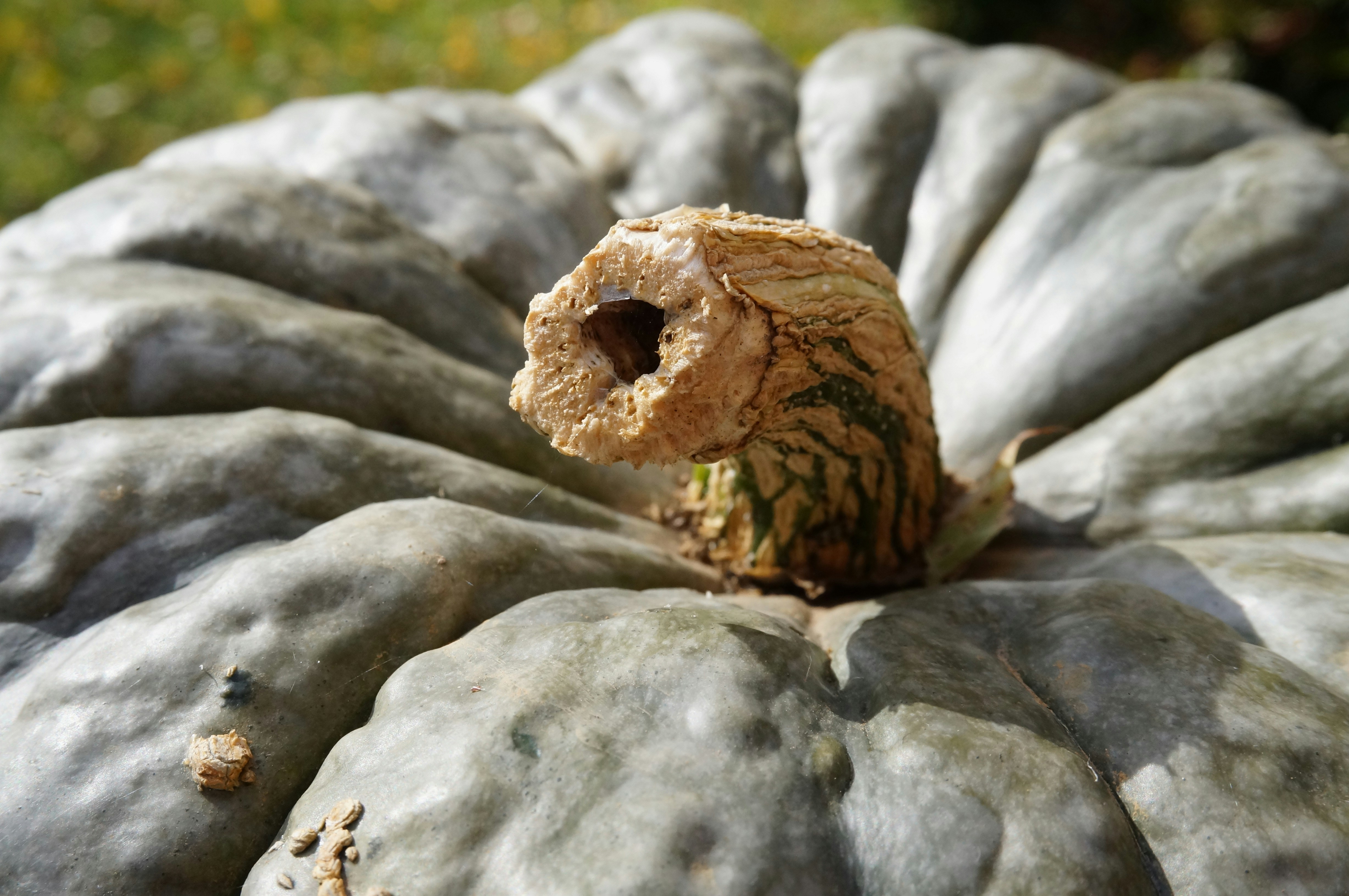 Photo by Peyton Clough with Sony NEX-3N