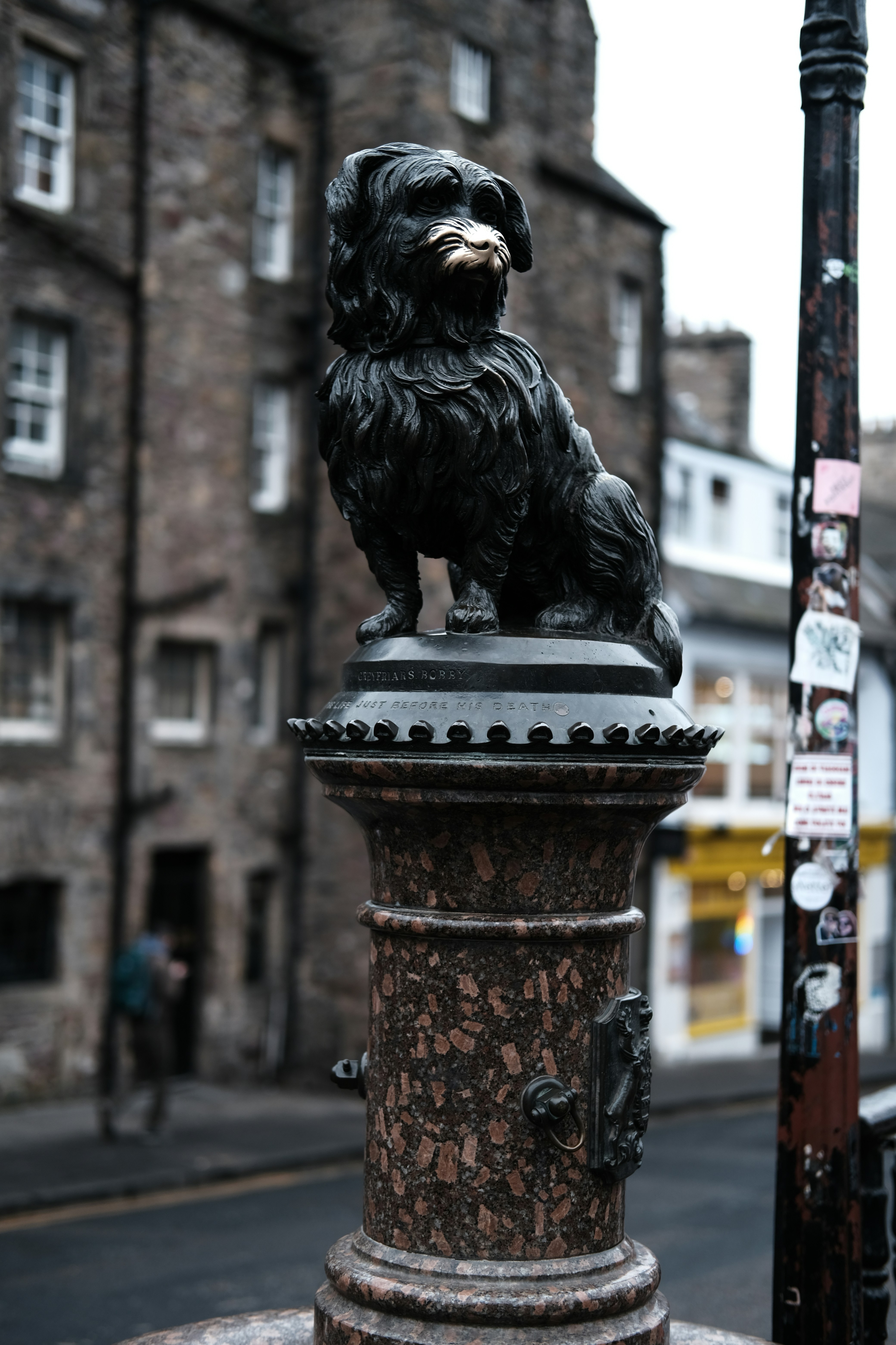 Photo by Mafalda Moura with Fujifilm X-T30 II