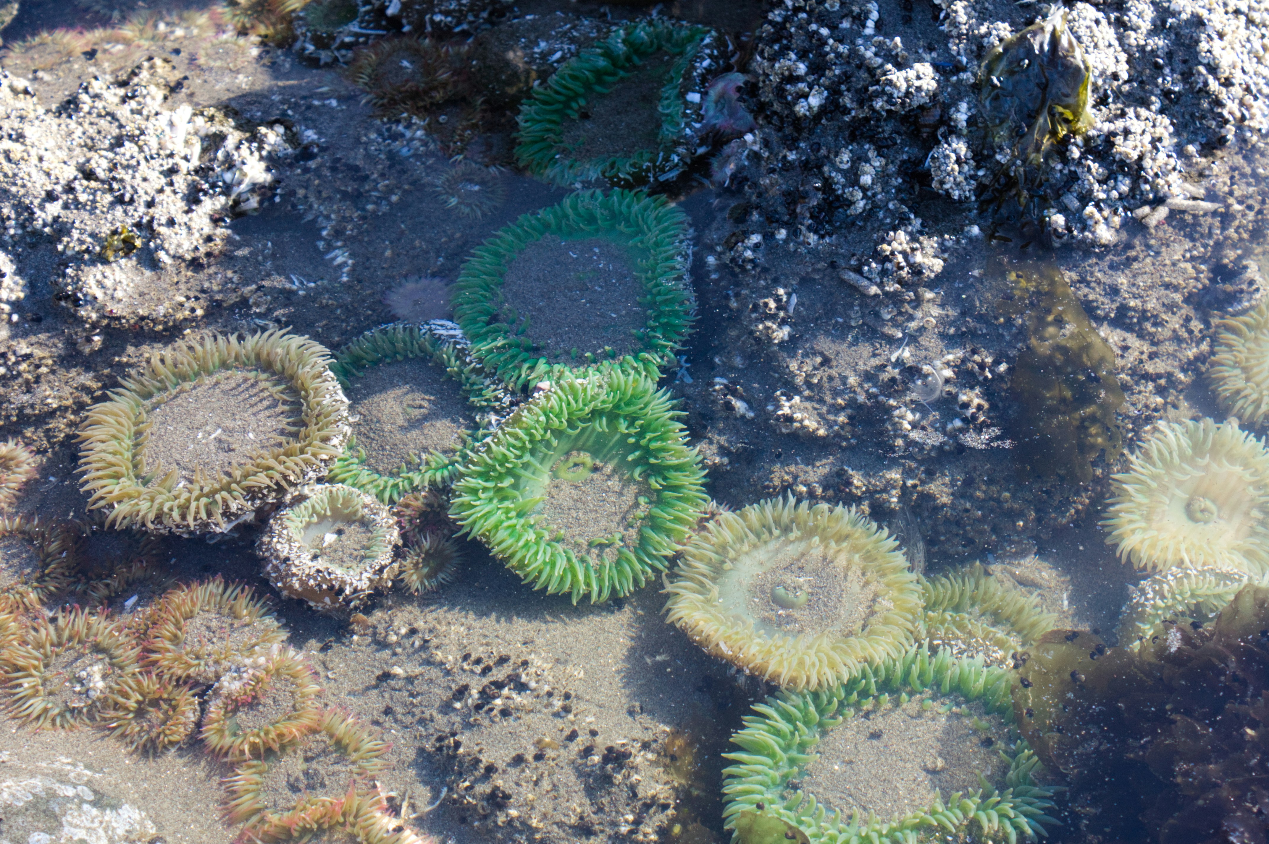 Photo by Reuben with Canon EOS 450D