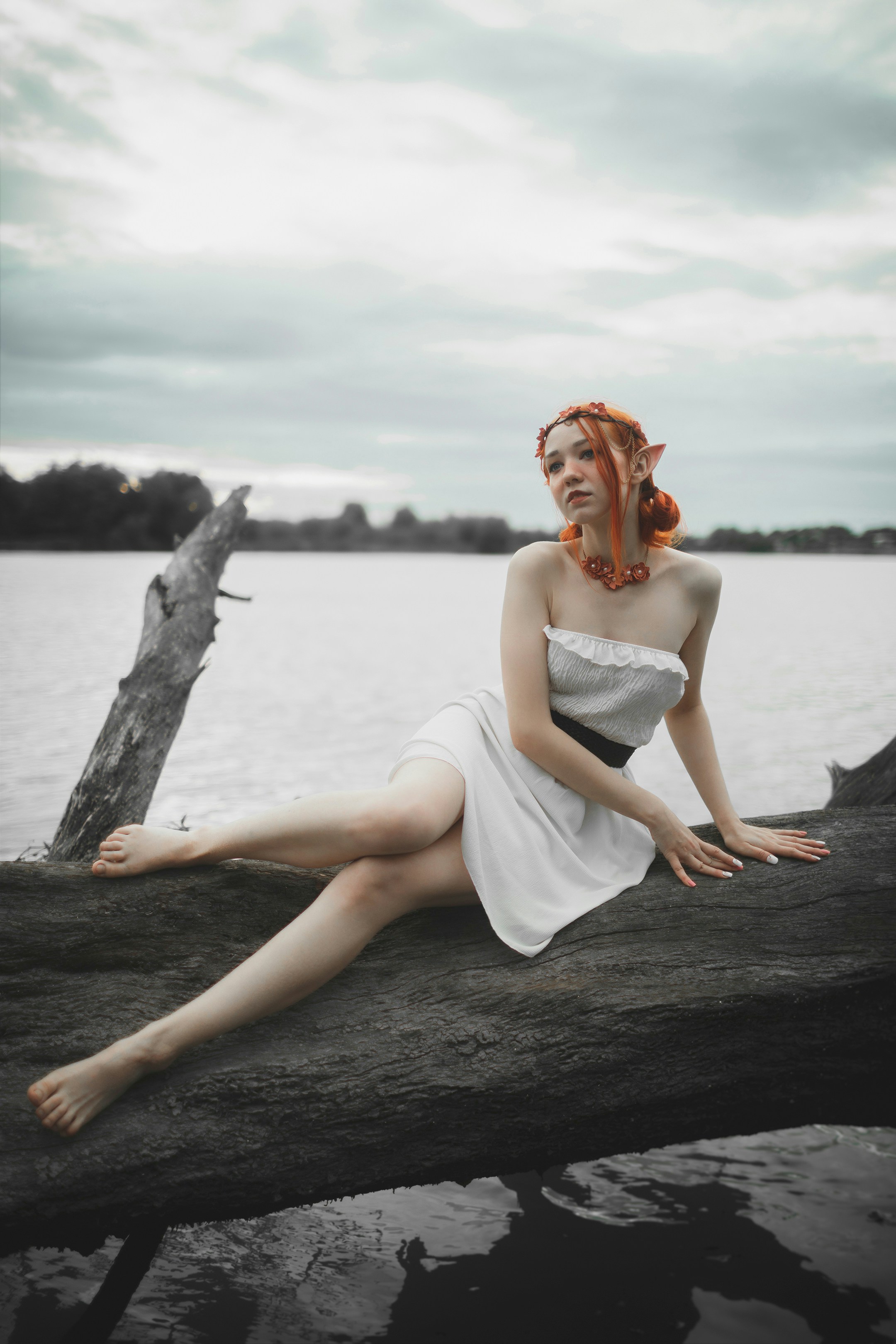 Red-Headed Muse on a Weathered Log by a Quiet Lake