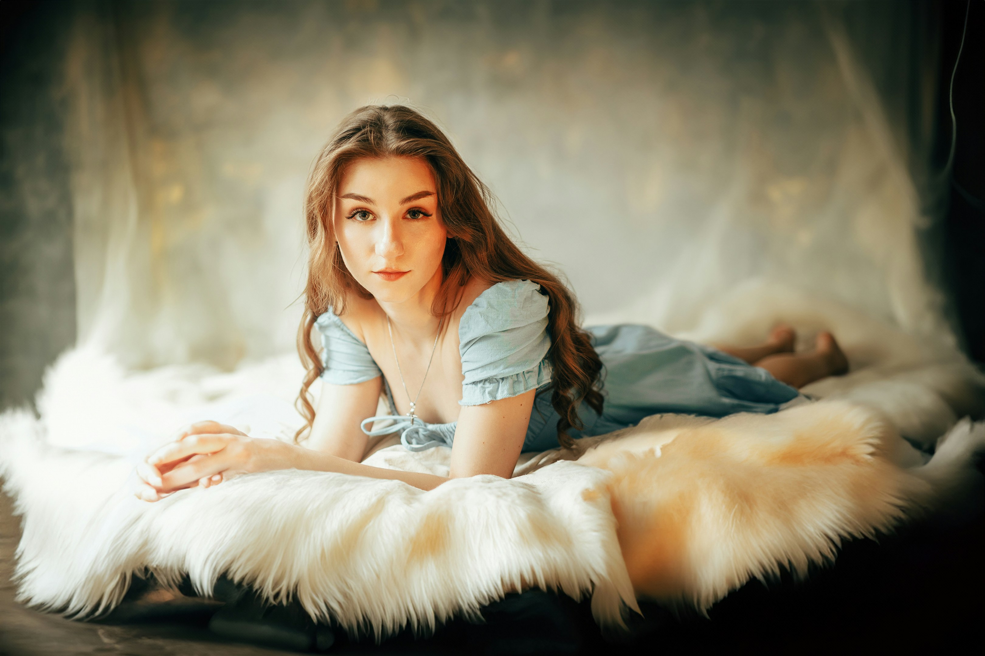 Azure Gaze on Velvet Fur: Studio Portrait in Warm Light