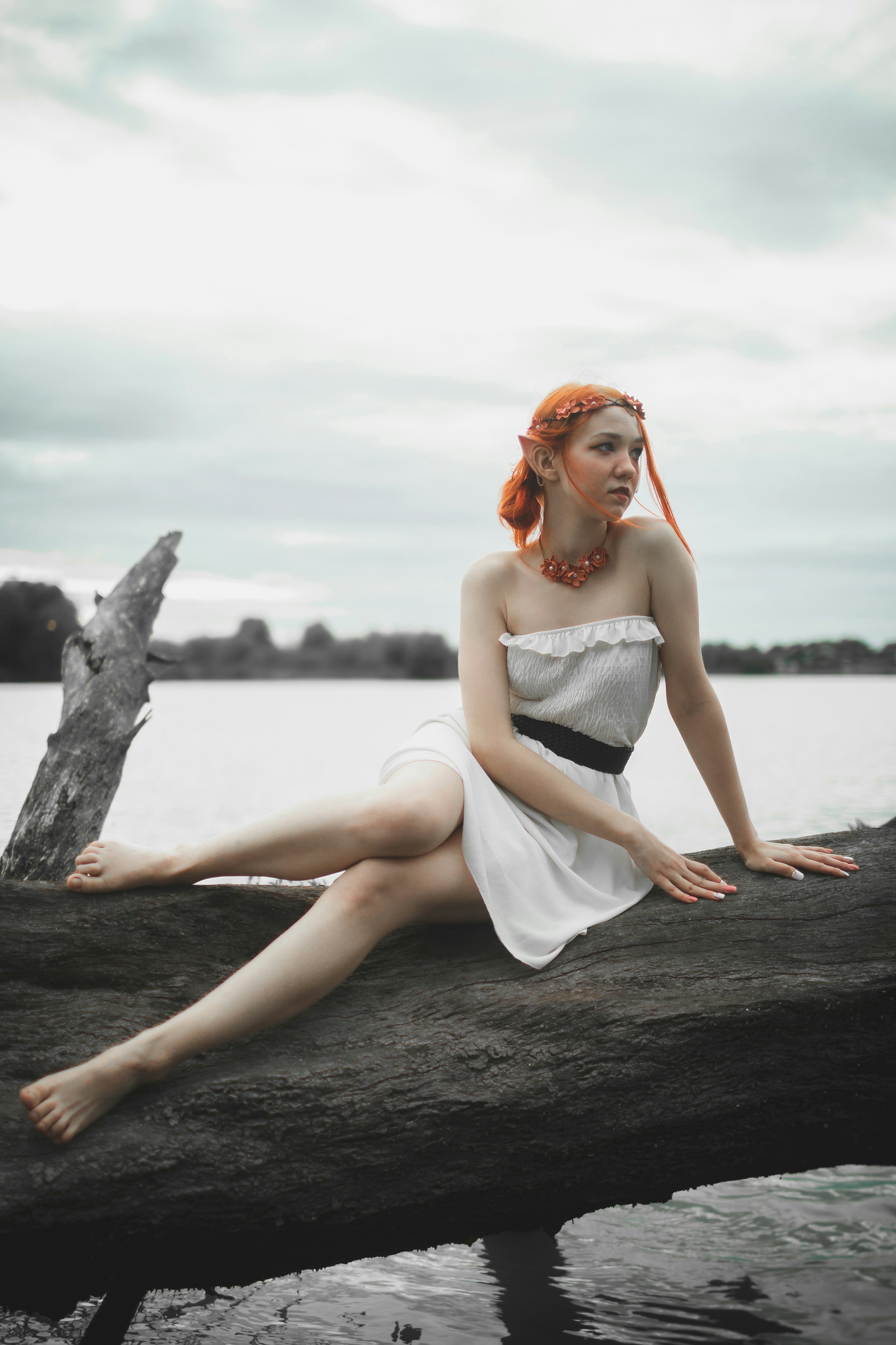 Vermilion Quiet: Portrait Perched on Driftwood by a Calm Lake