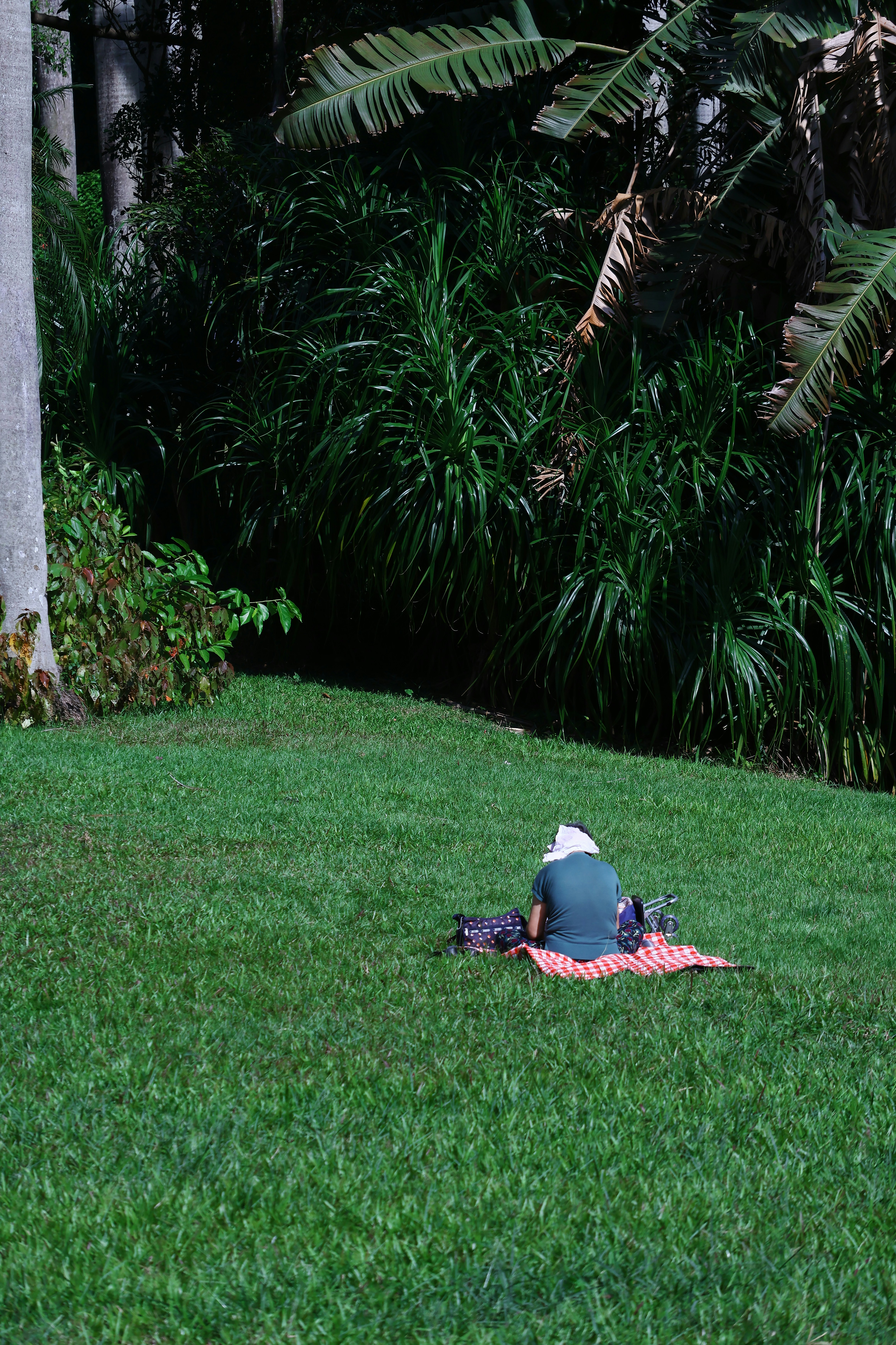 Quiet Recline: A Lone Figure on a Red-Checkered Blanket in a Jungle-Edge Lawn.