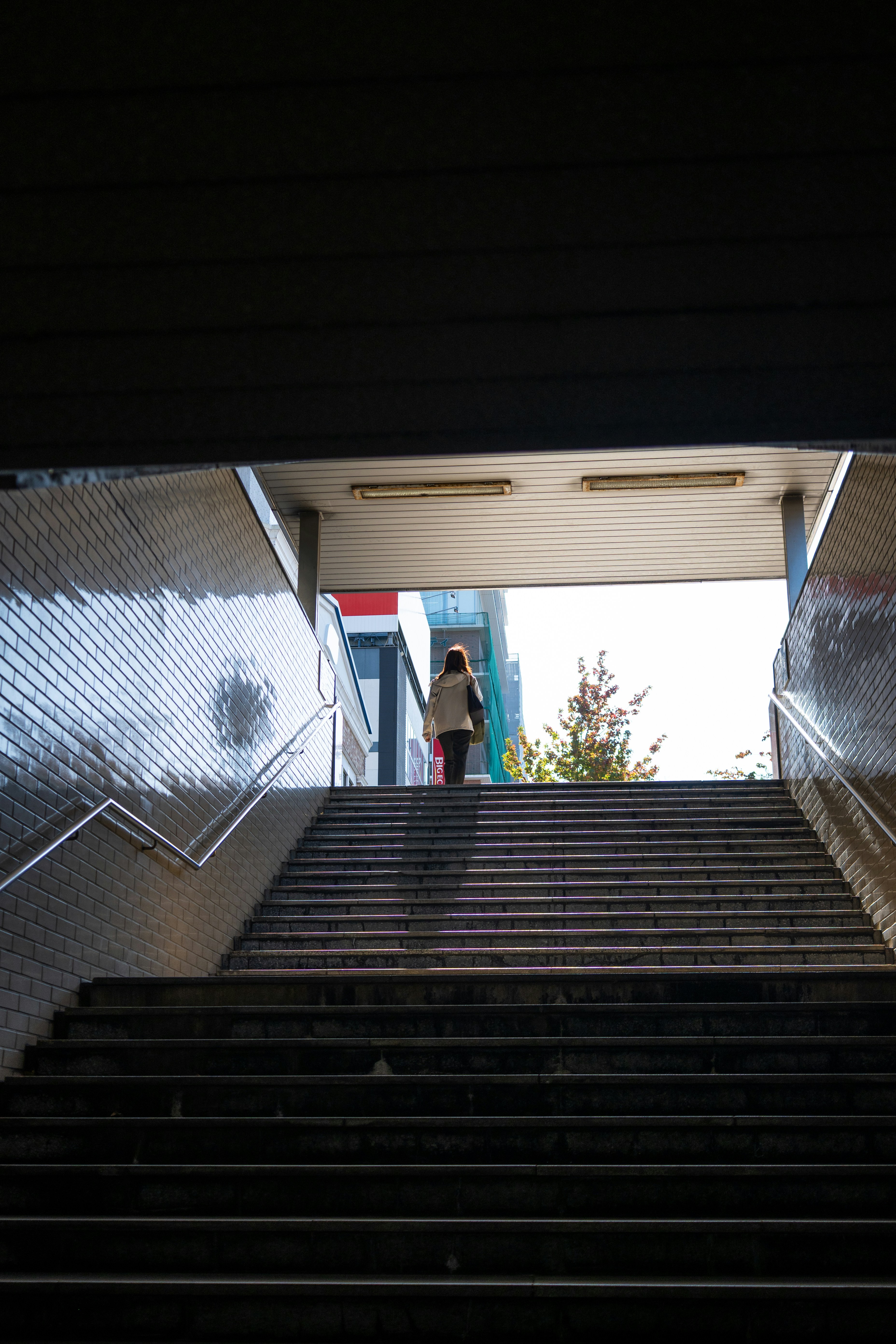 Photo by Kouji Tsuru with Nikon Z50 II