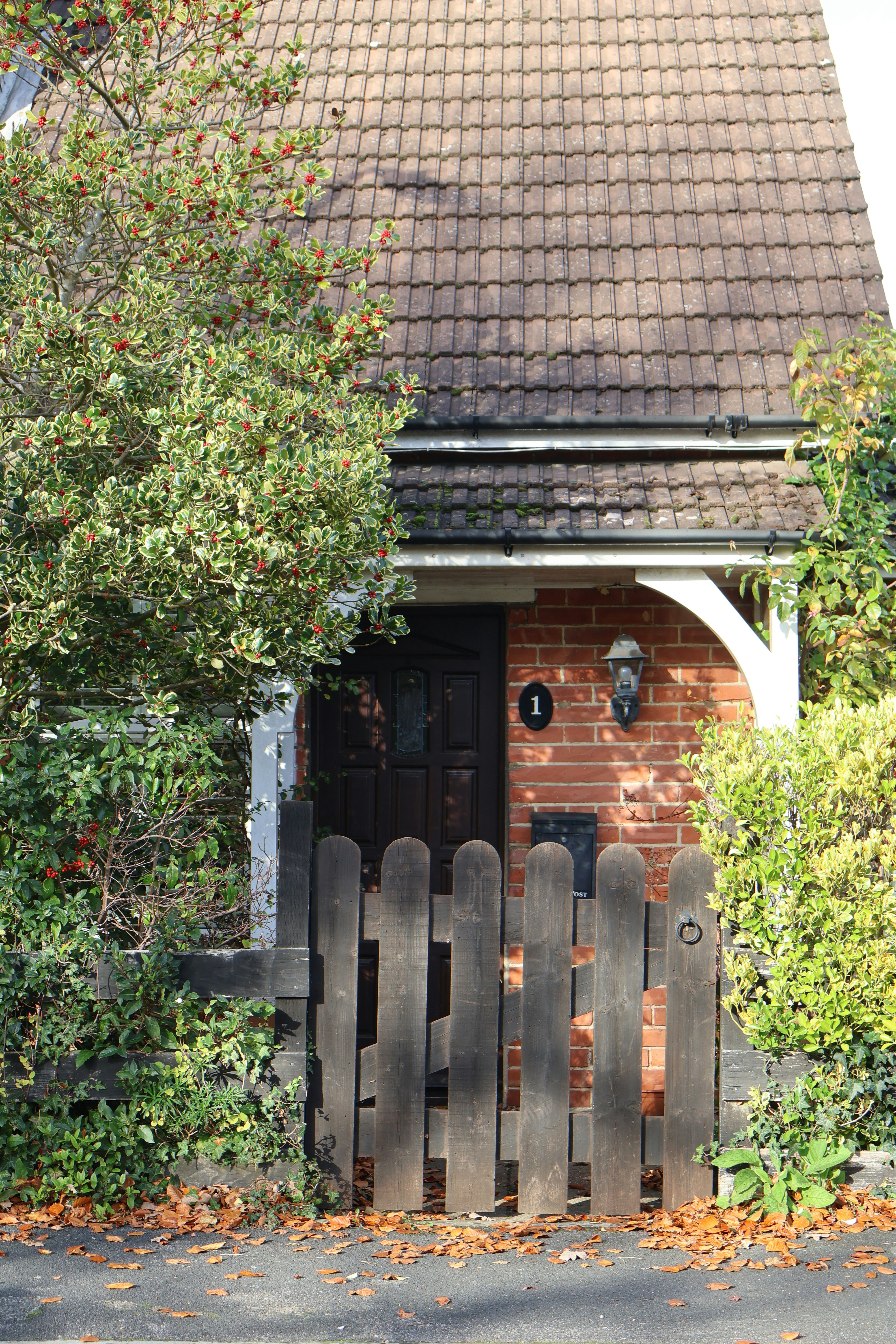 Photo by Tanya Barrow with Canon EOS R50