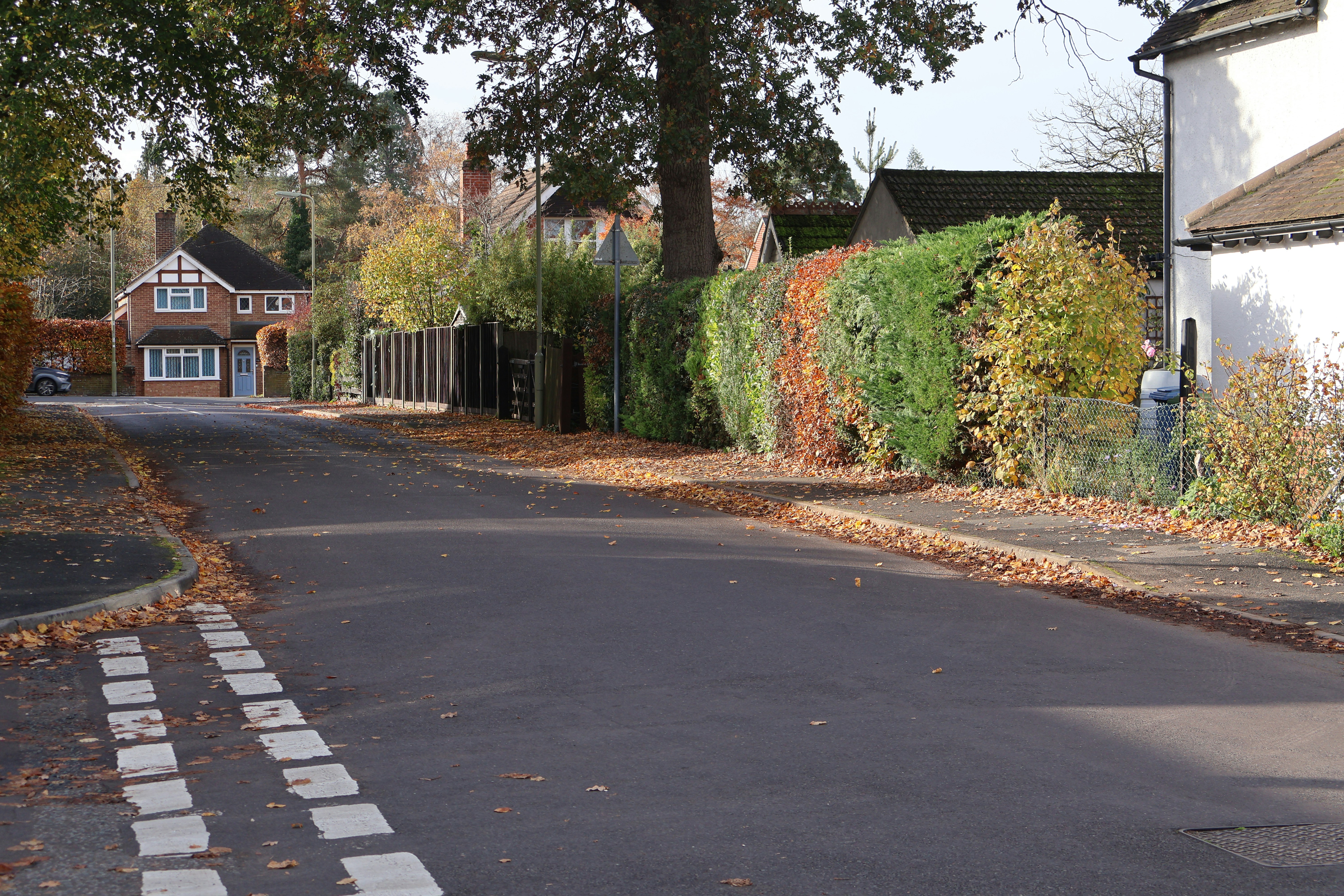 Photo by Tanya Barrow with Canon EOS R50