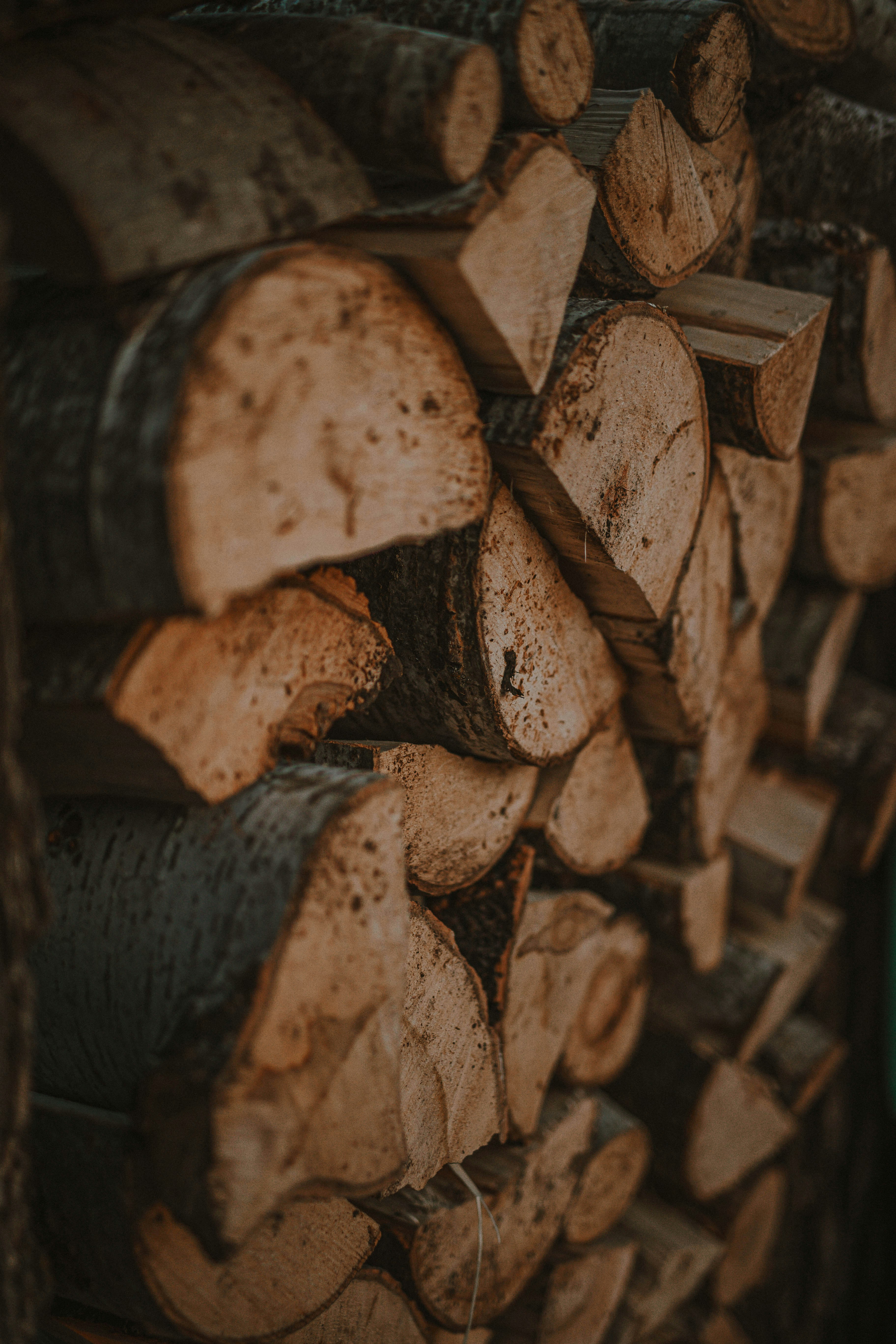 a stack of chopped wood in Minnesota