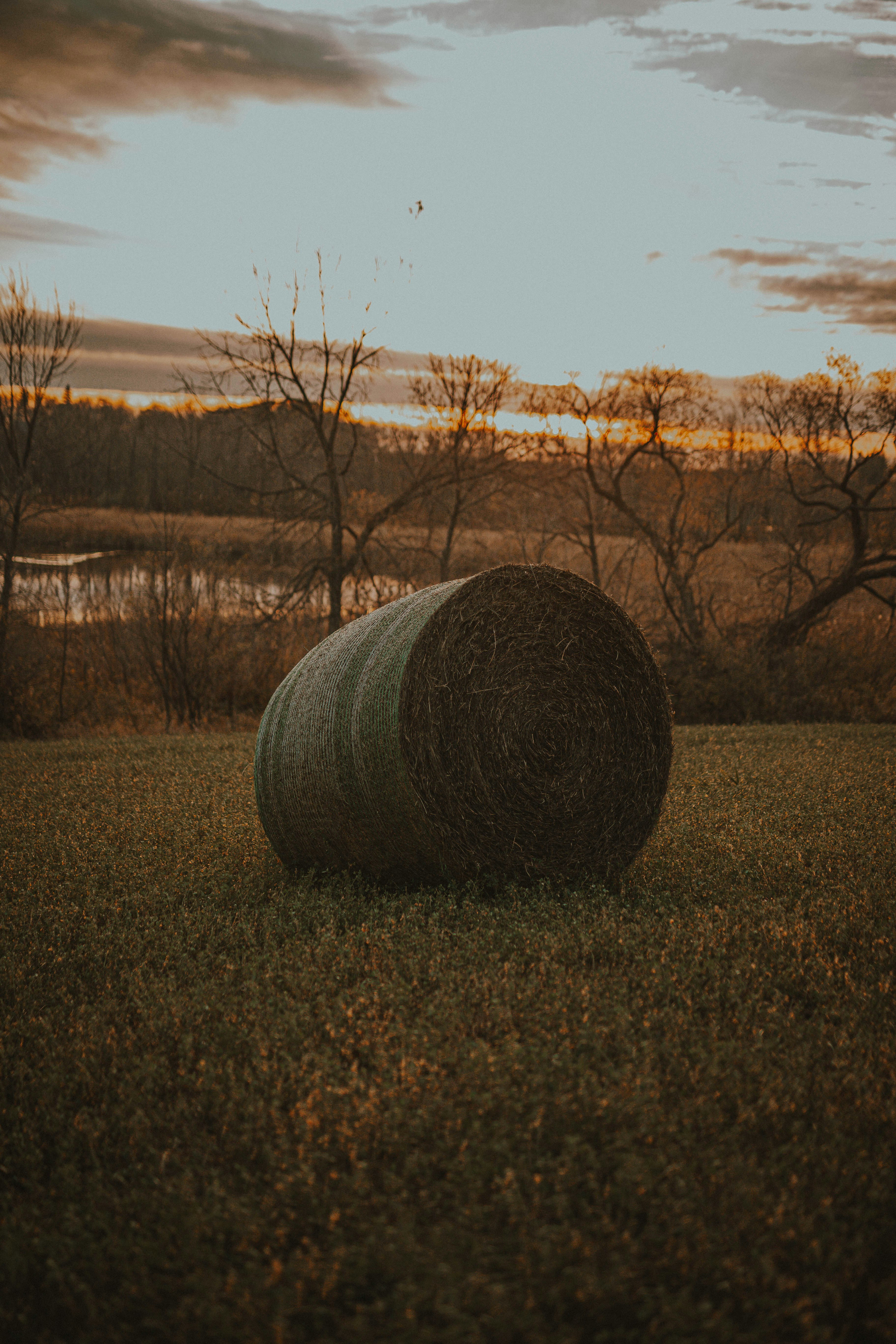 a hay bale in a Minnesota field at sunset