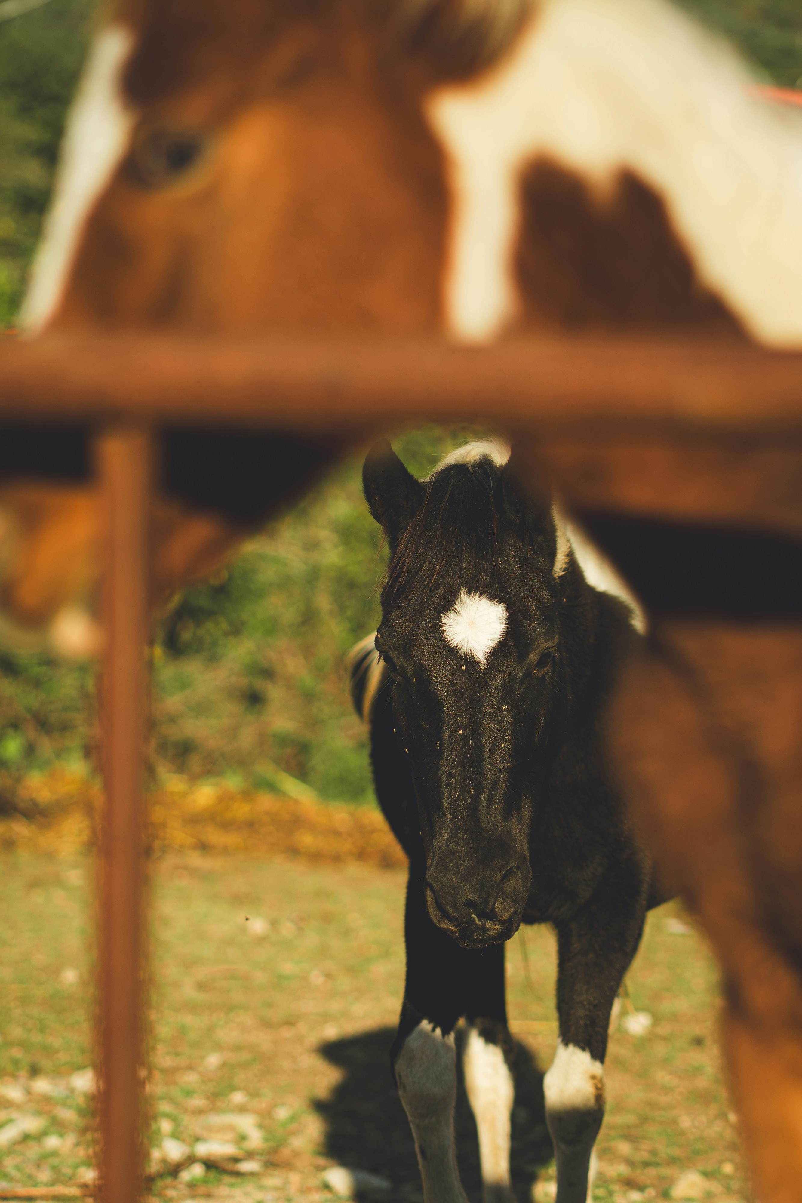 Photo by Ciro Magliano with Sony Alpha 7 III