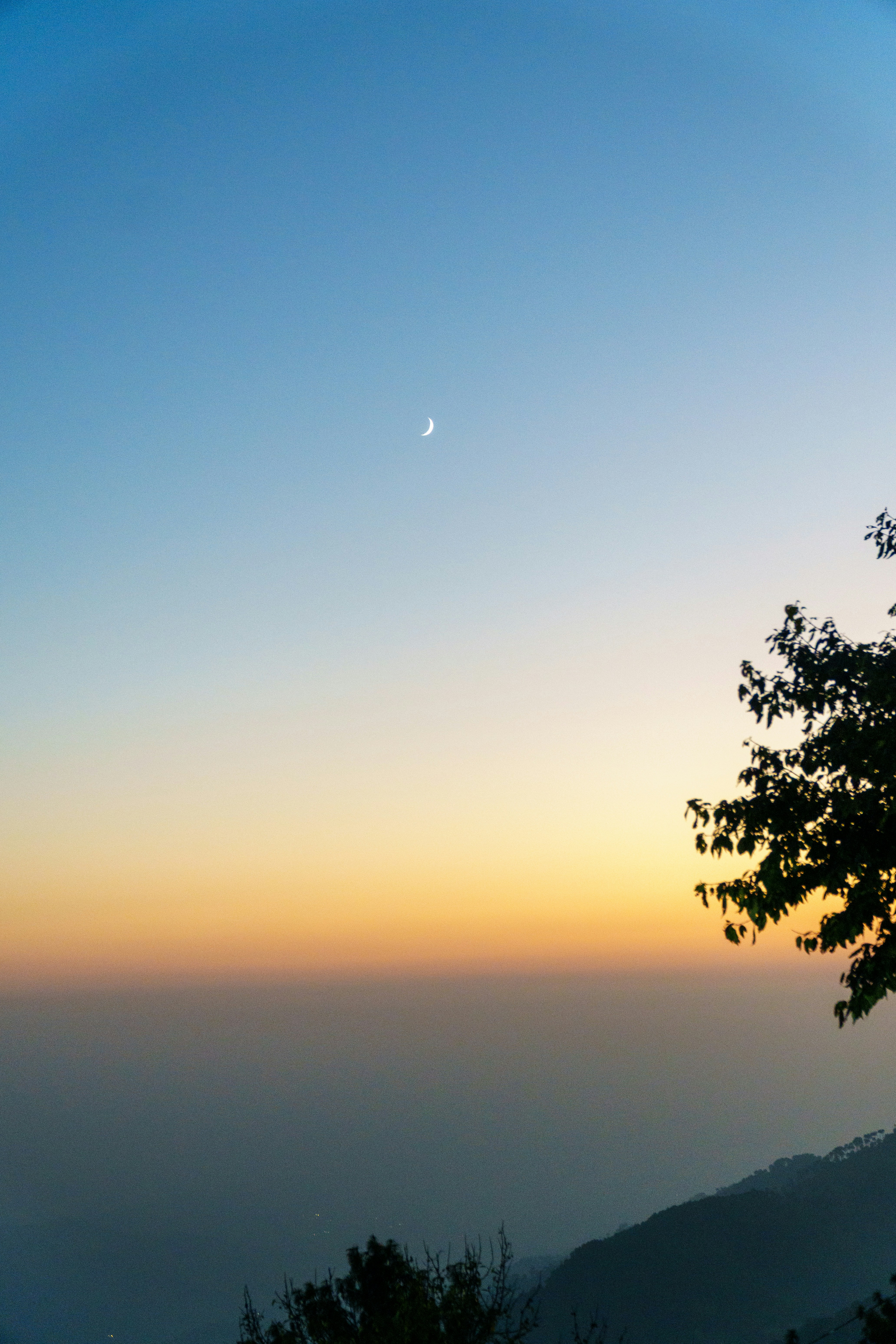 Moonlet Above the Quiet Dawn Horizon