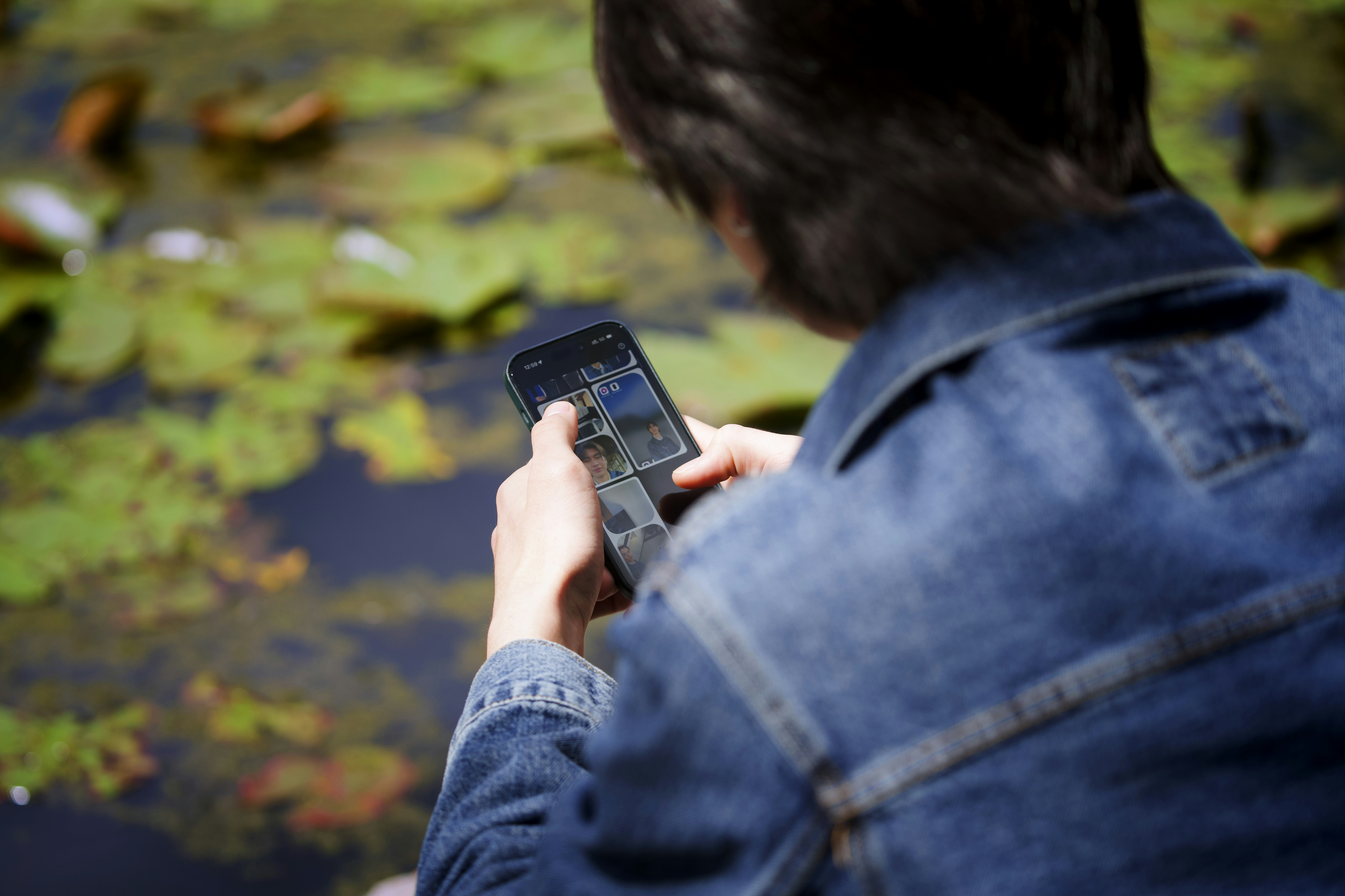 Denim at the Pond: A Quiet Scroll by Lily Pads