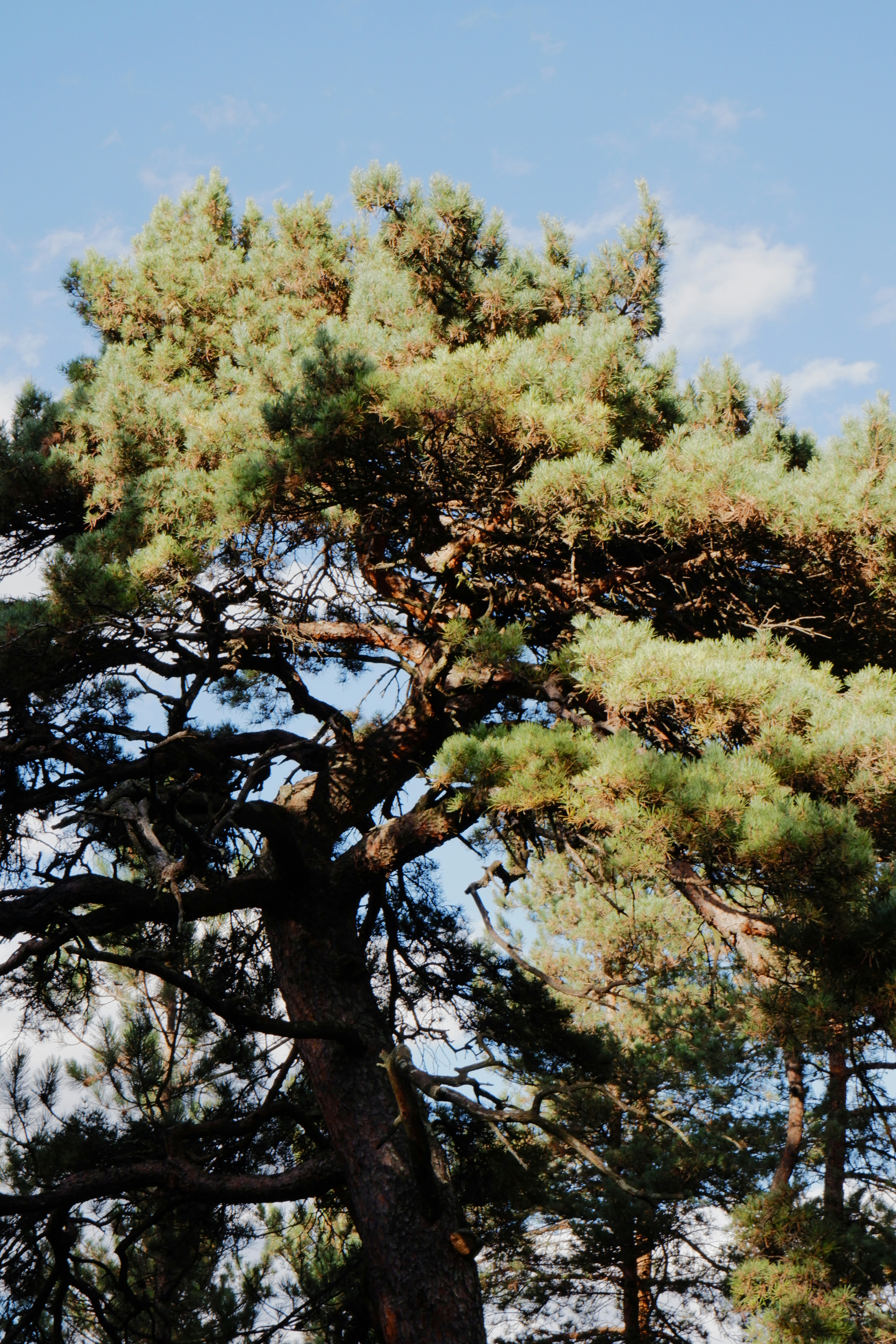 Photo by Maxim Nikiforov with Fujifilm X-T100