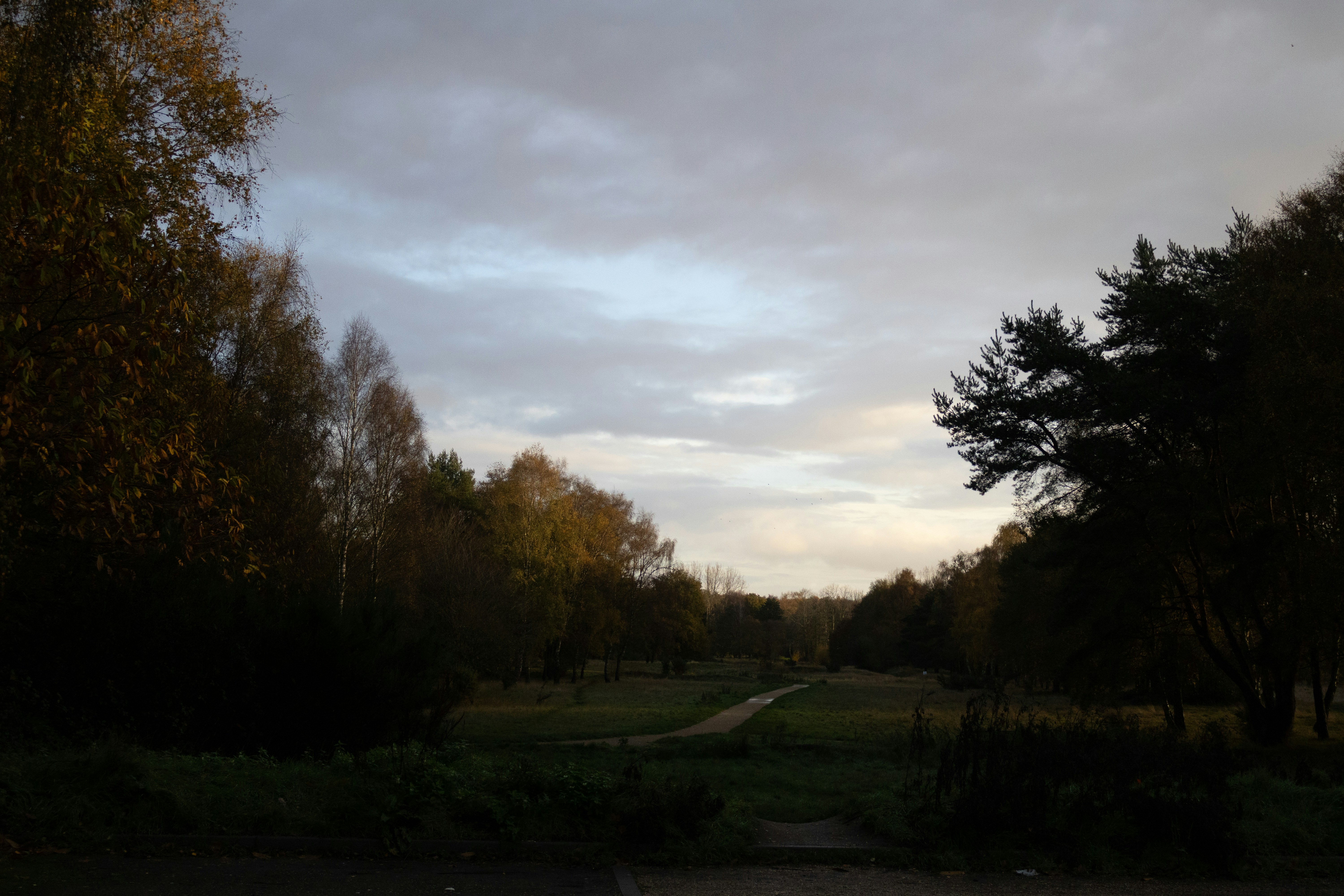 Dusk Along a Shadowed Park Path Framed by Autumn Trees