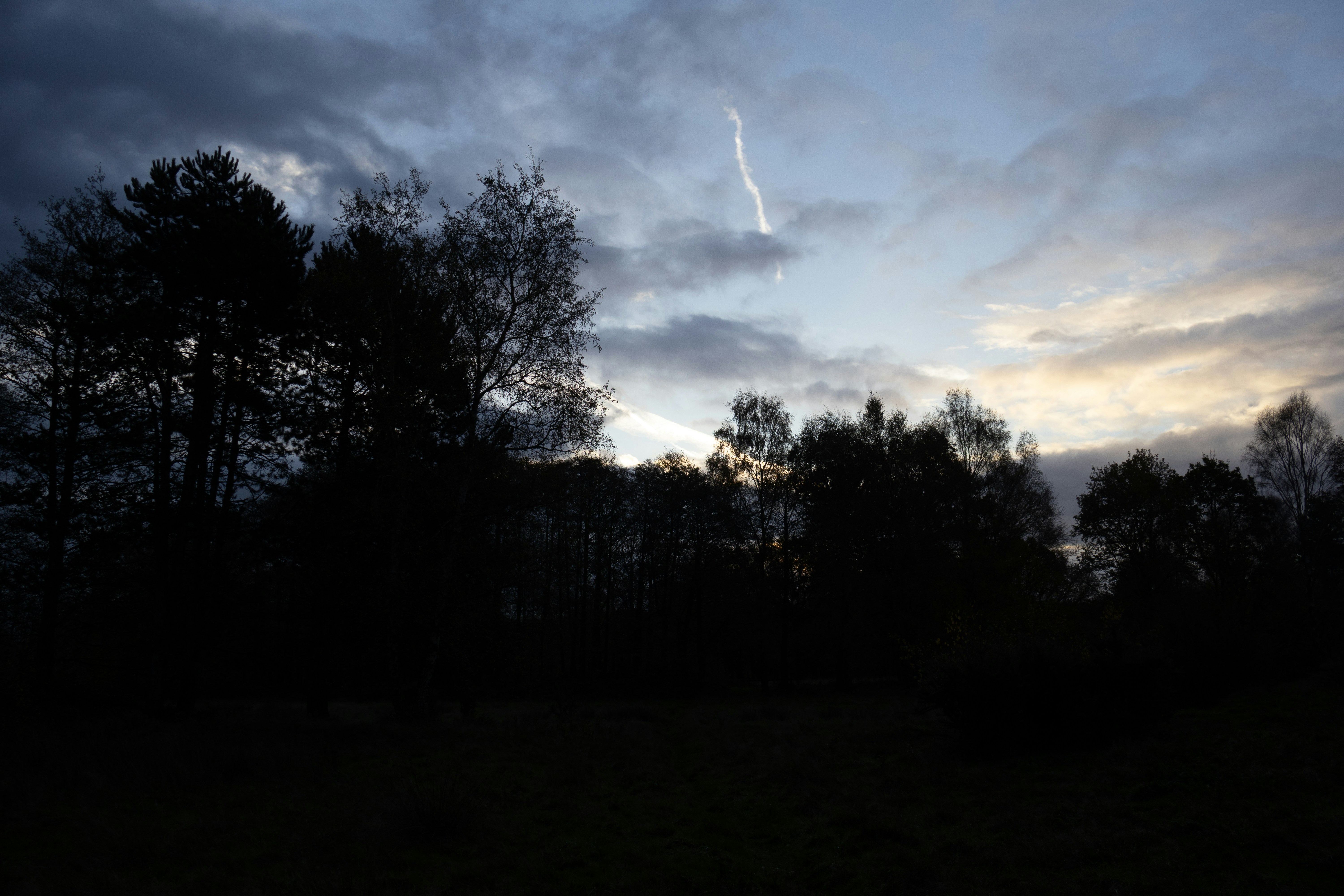 Dusk Streak Over Silent Pines