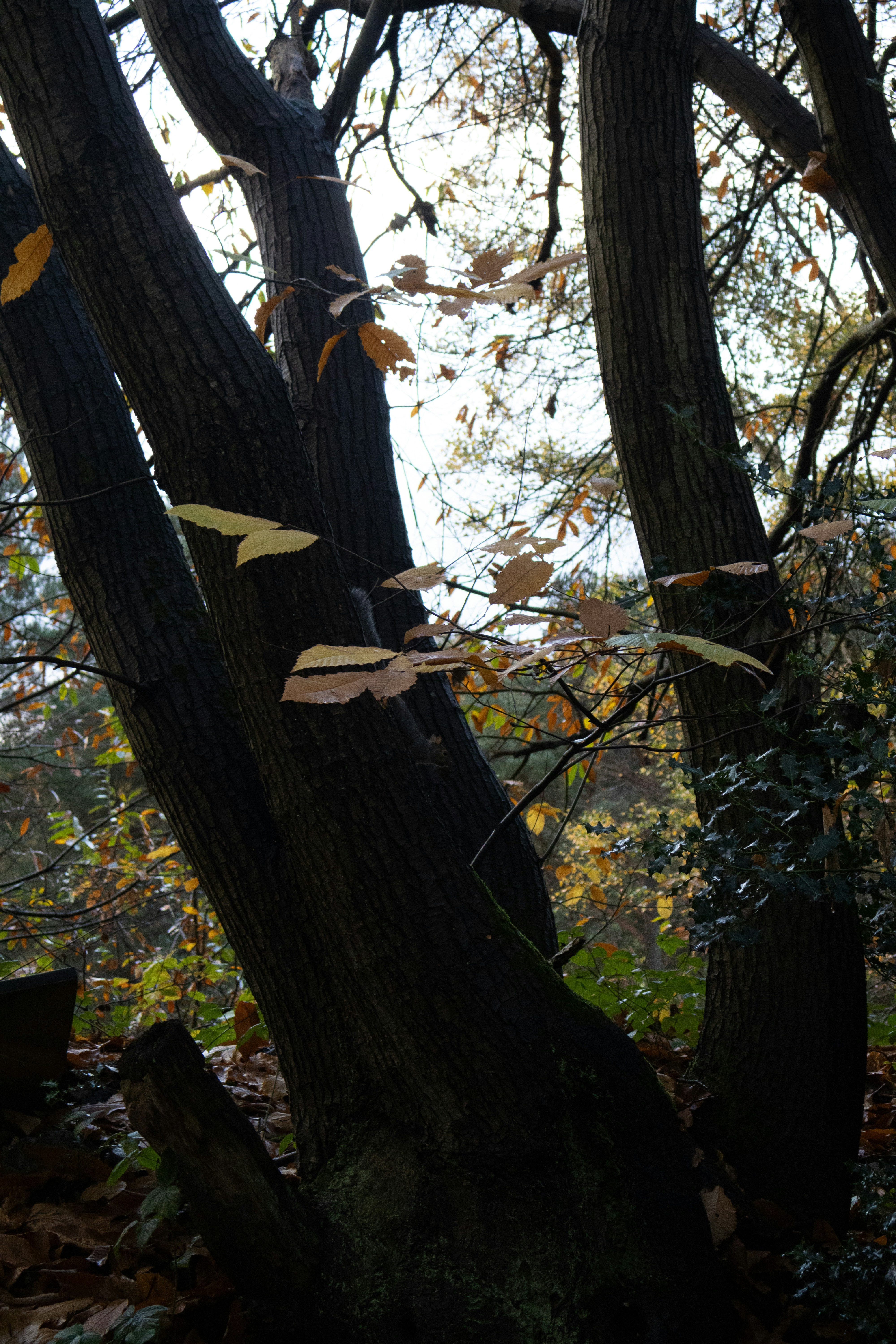 Photo by Tanya Barrow with Canon EOS R50