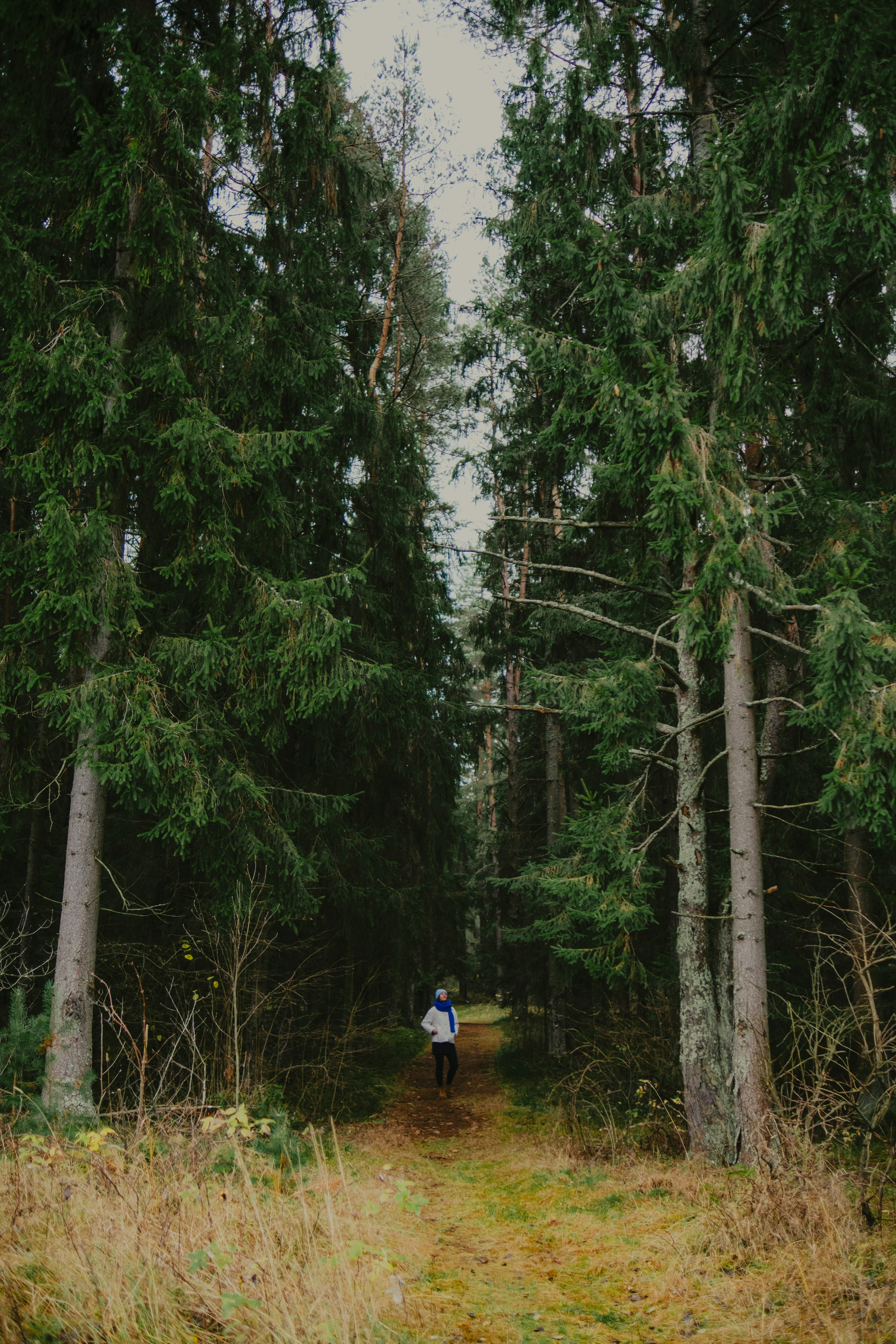 Photo by Hanna Lazar with Fujifilm X-S10